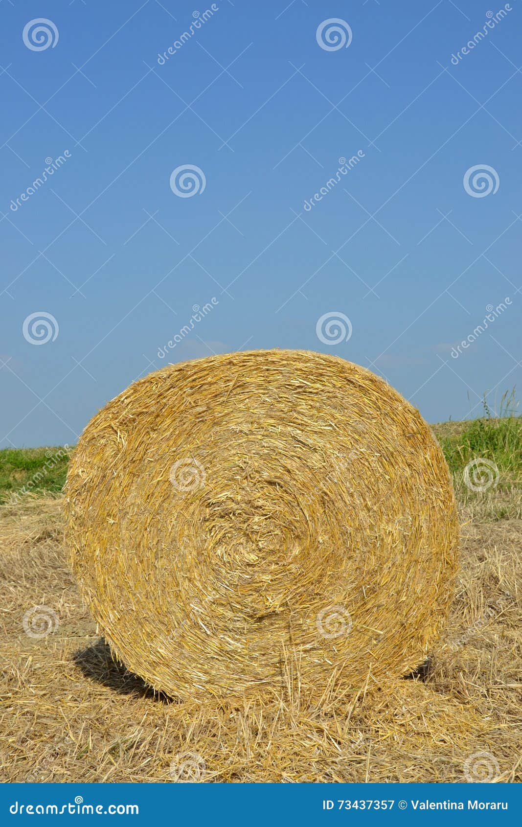 Round Hay Bails stock image. Image of countryside, feed - 73437357