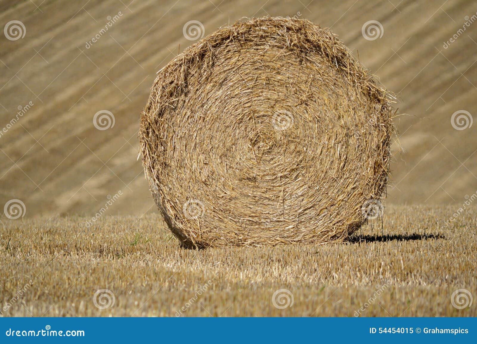 Round Hay Bale stock image. Image of rural, field, nature - 54454015
