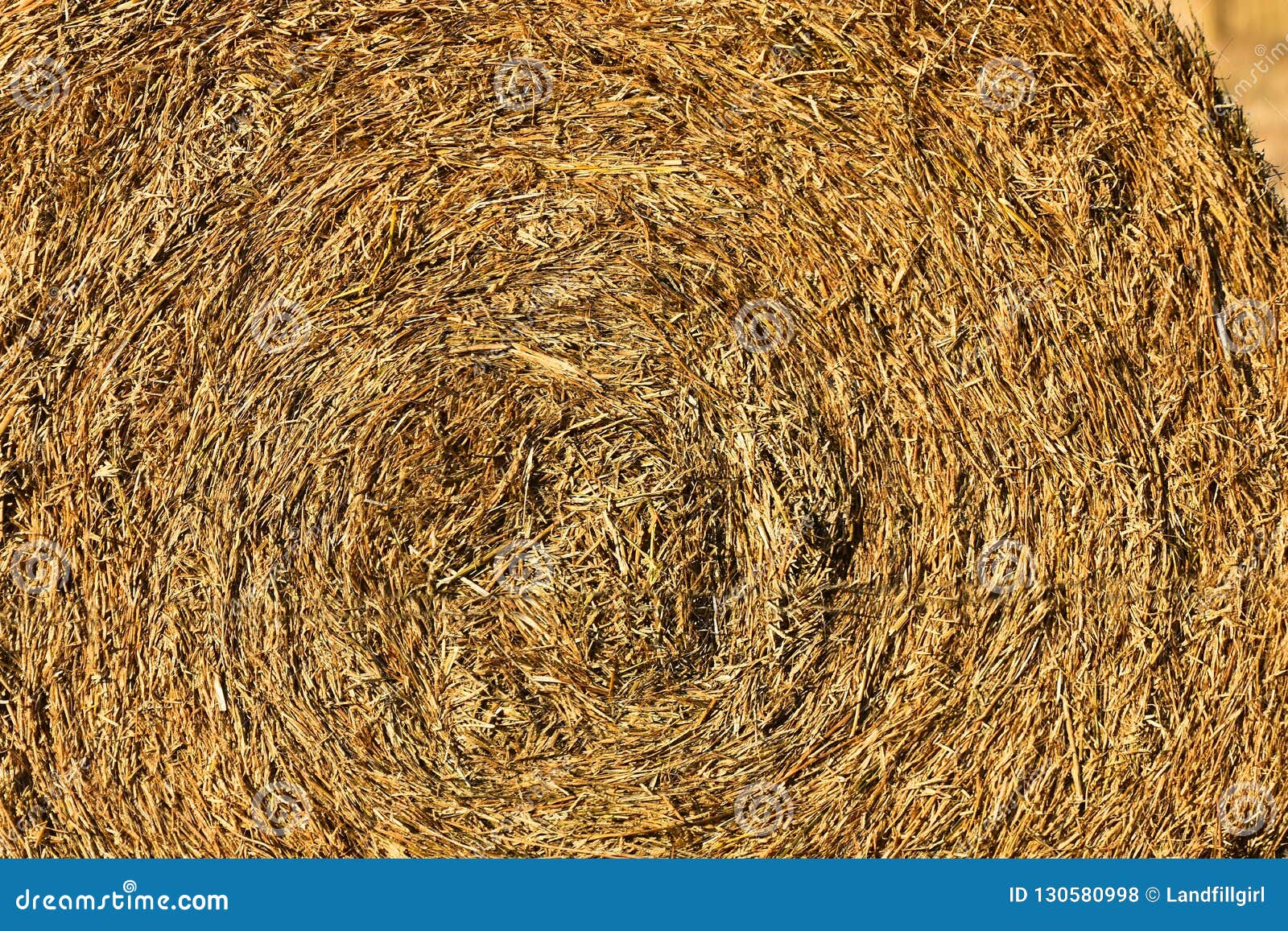 Round Hay Bale Texture stock photo. Image of agriculture - 130580998