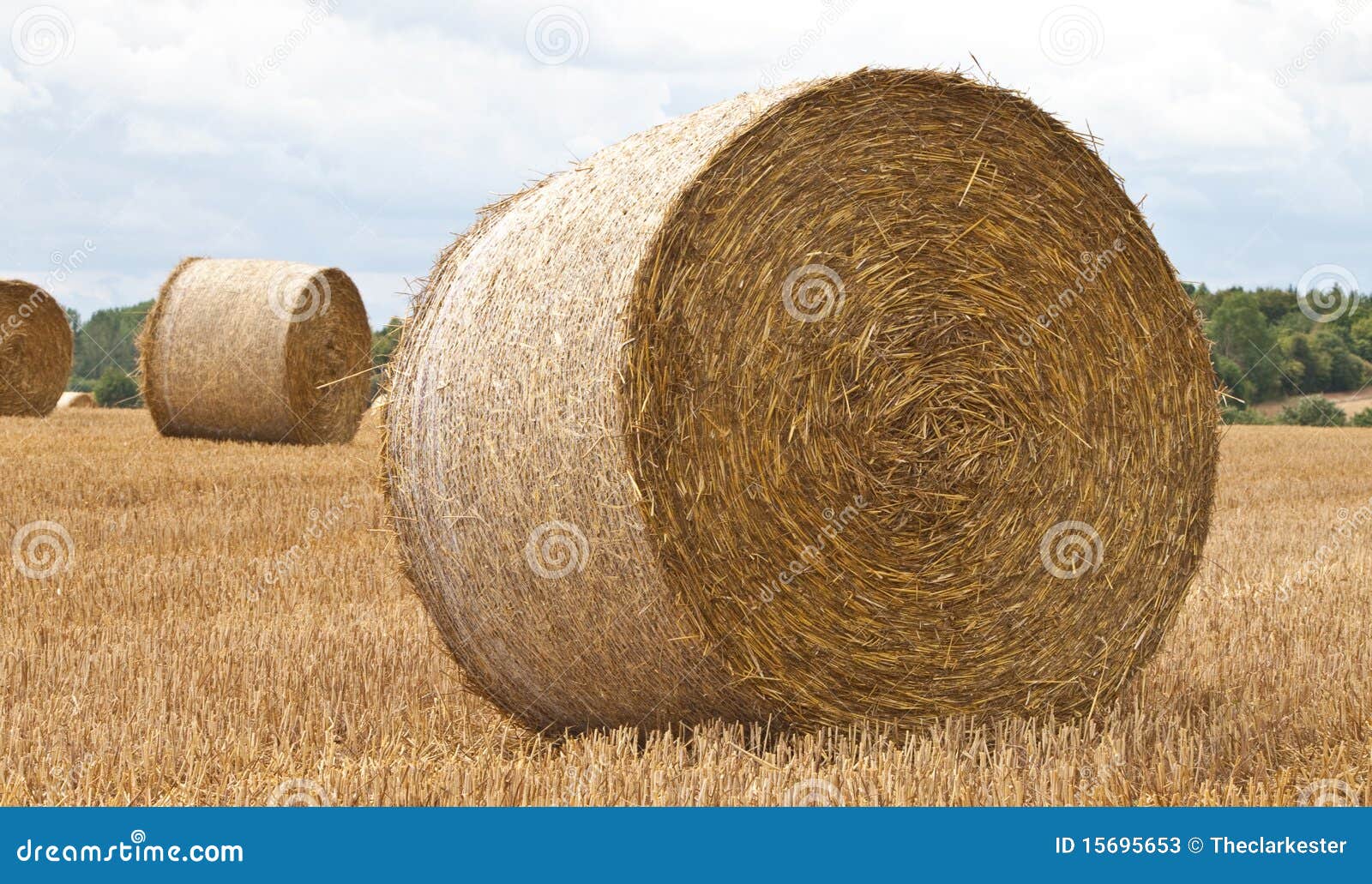 Round hay bales stock image. Image of farming, harvested - 15695653