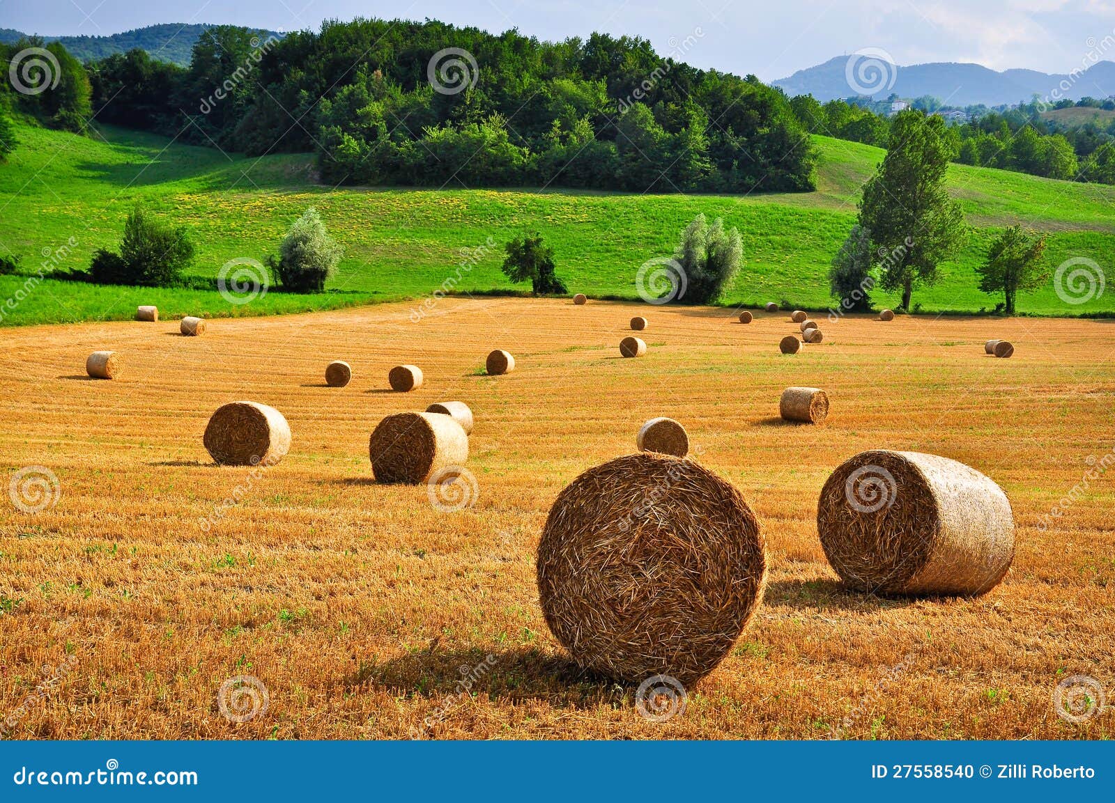 Round Hay Bales stock photo. Image of harvesting, countryside - 27558540