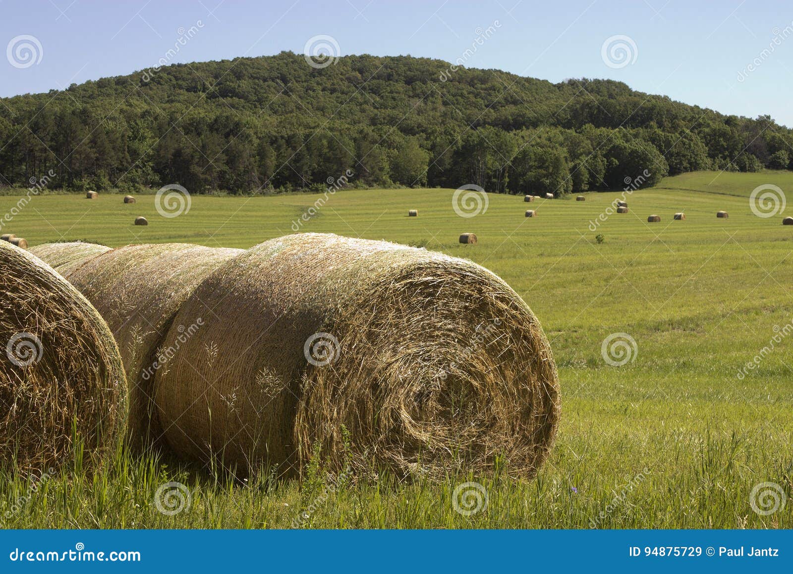 Round hay bales stock image. Image of wisconsin, bales - 94875729
