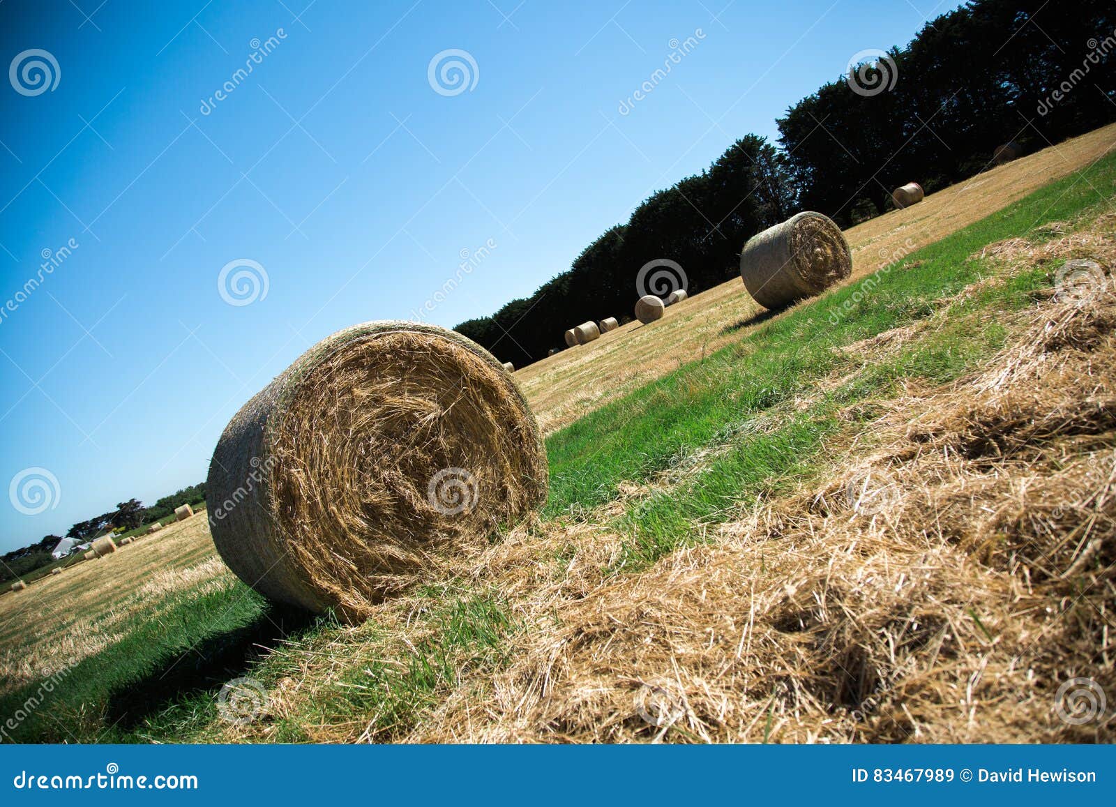 Round Hay Bales stock image. Image of harvest, industry - 83467989