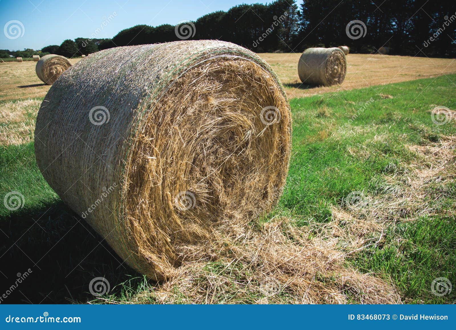 Round Hay Bales stock image. Image of dfarm, blue, green - 83468073