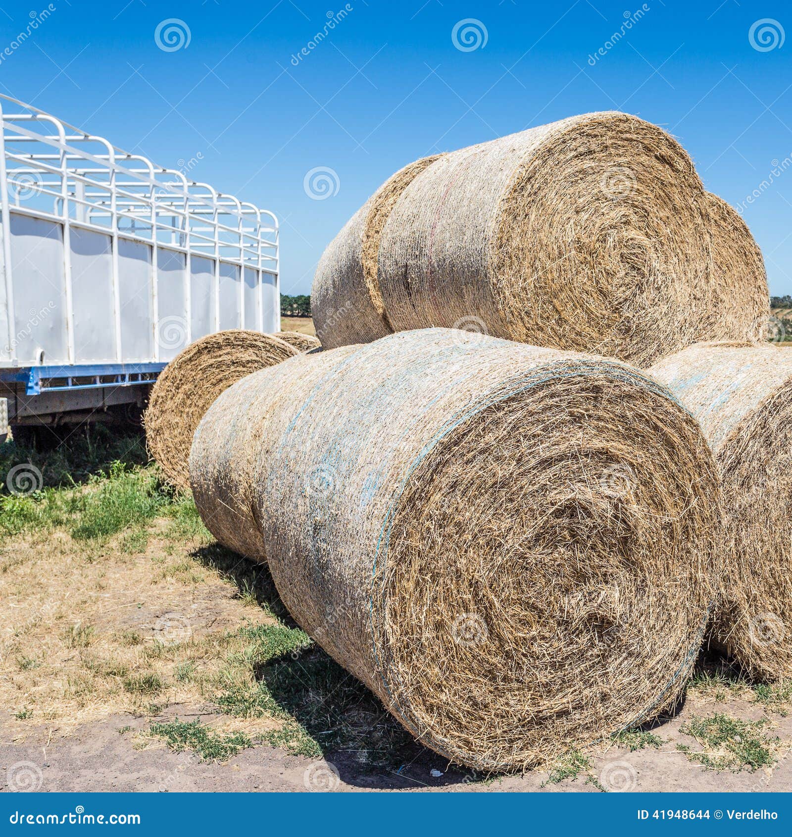 Round hay bales stock photo. Image of stacked, bales - 41948644