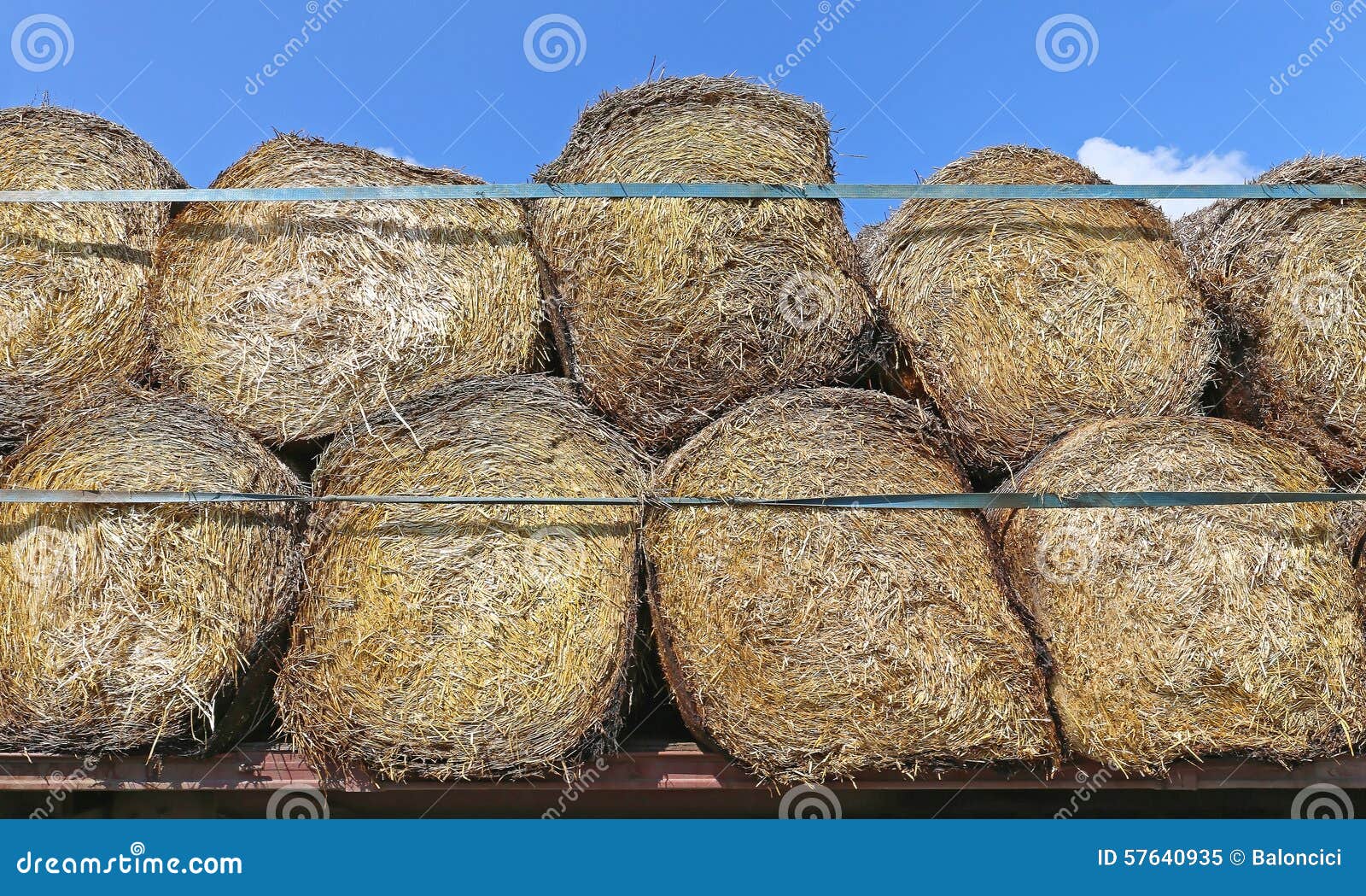 Round Hay Bales stock image. Image of rolled, bales, transport - 57640935