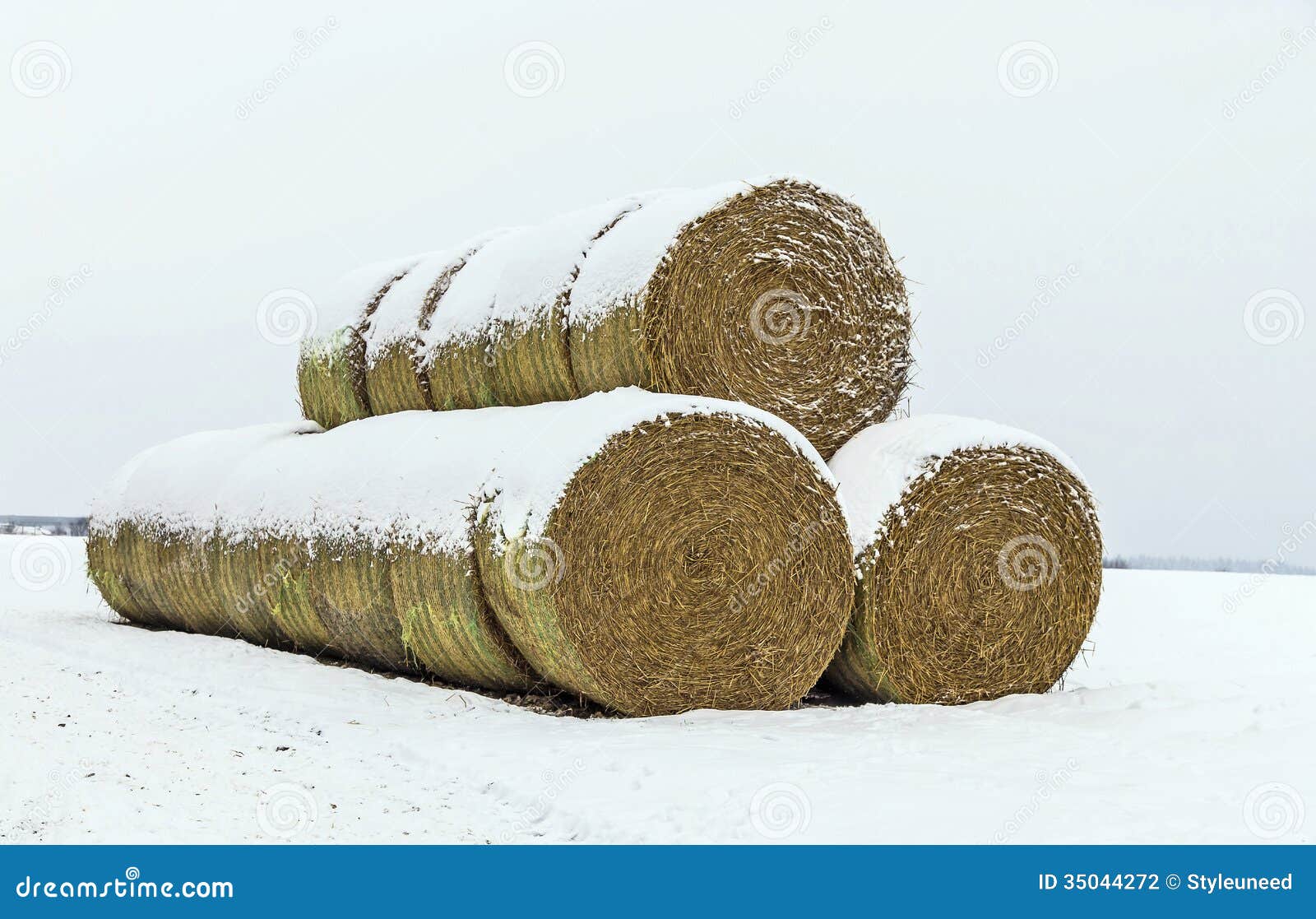 Round Hay Bales in Winter Snow Stock Photo - Image of pile, outdoors ...