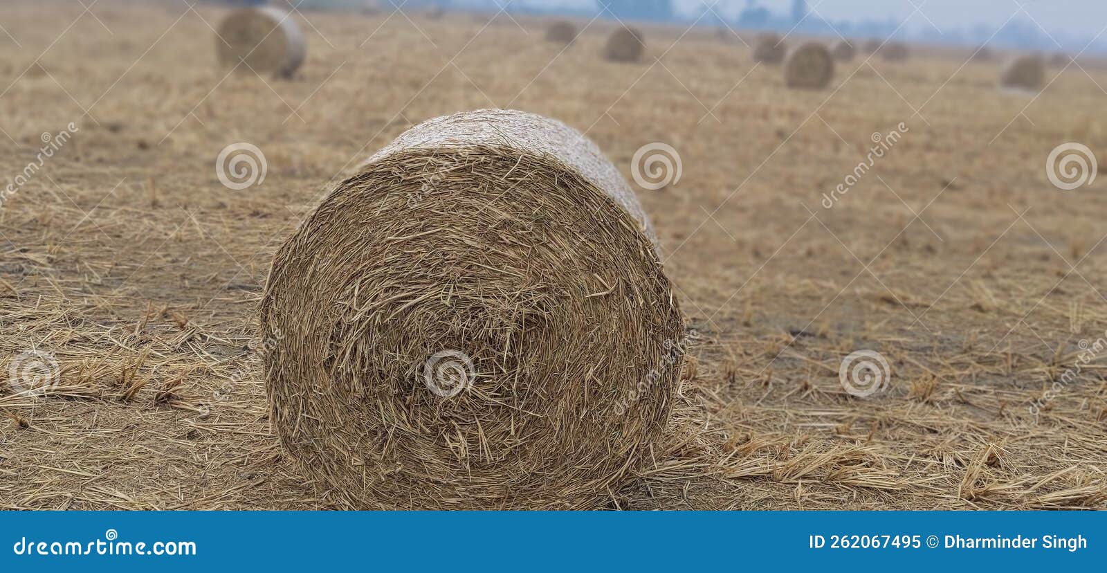 Round Hay Bundle Hay Bale with Blur Background Stock Image - Image of ...