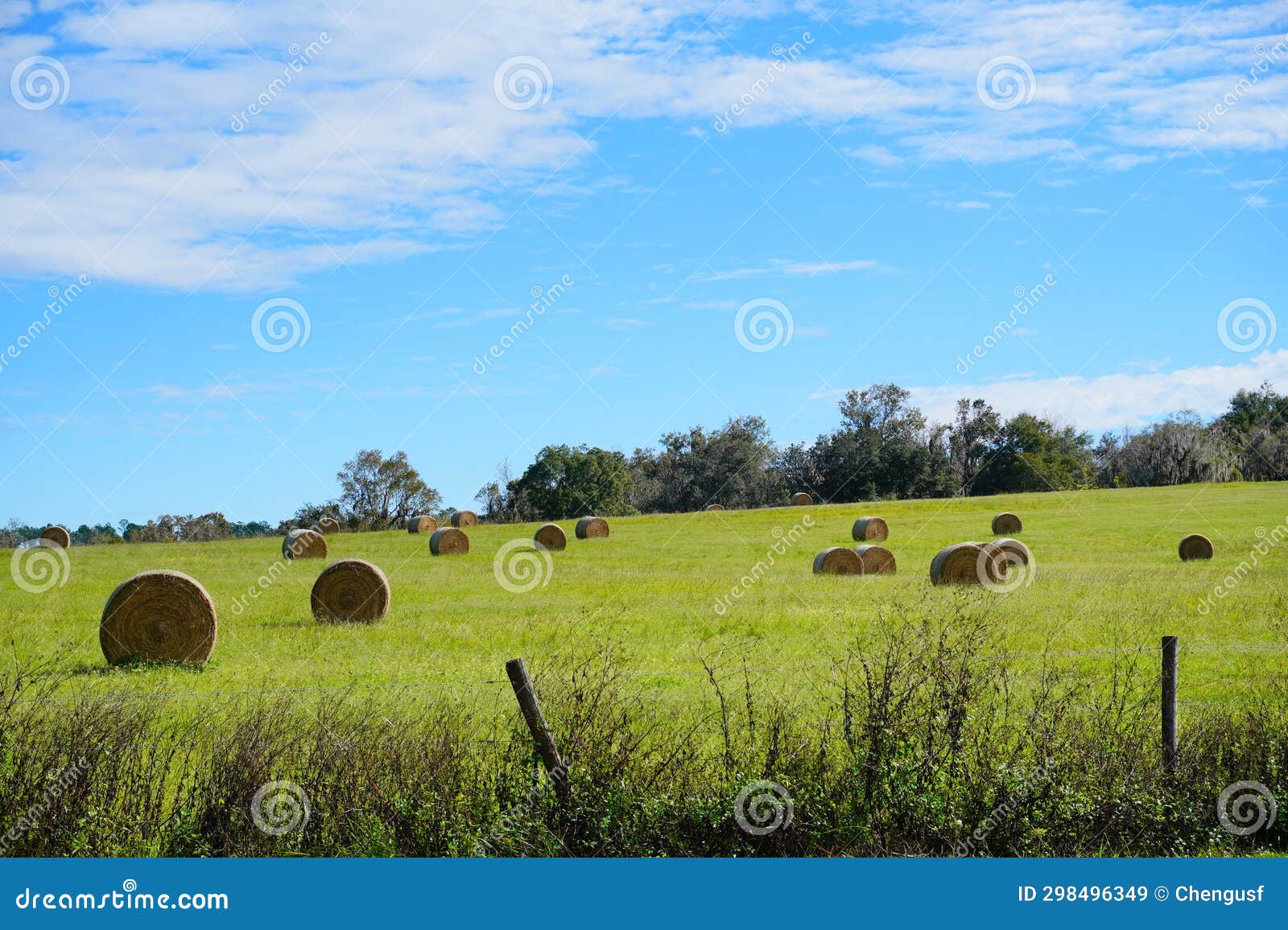 Round Hay Stack in a Florida Farm and Beautiful Cloud Stock Image ...