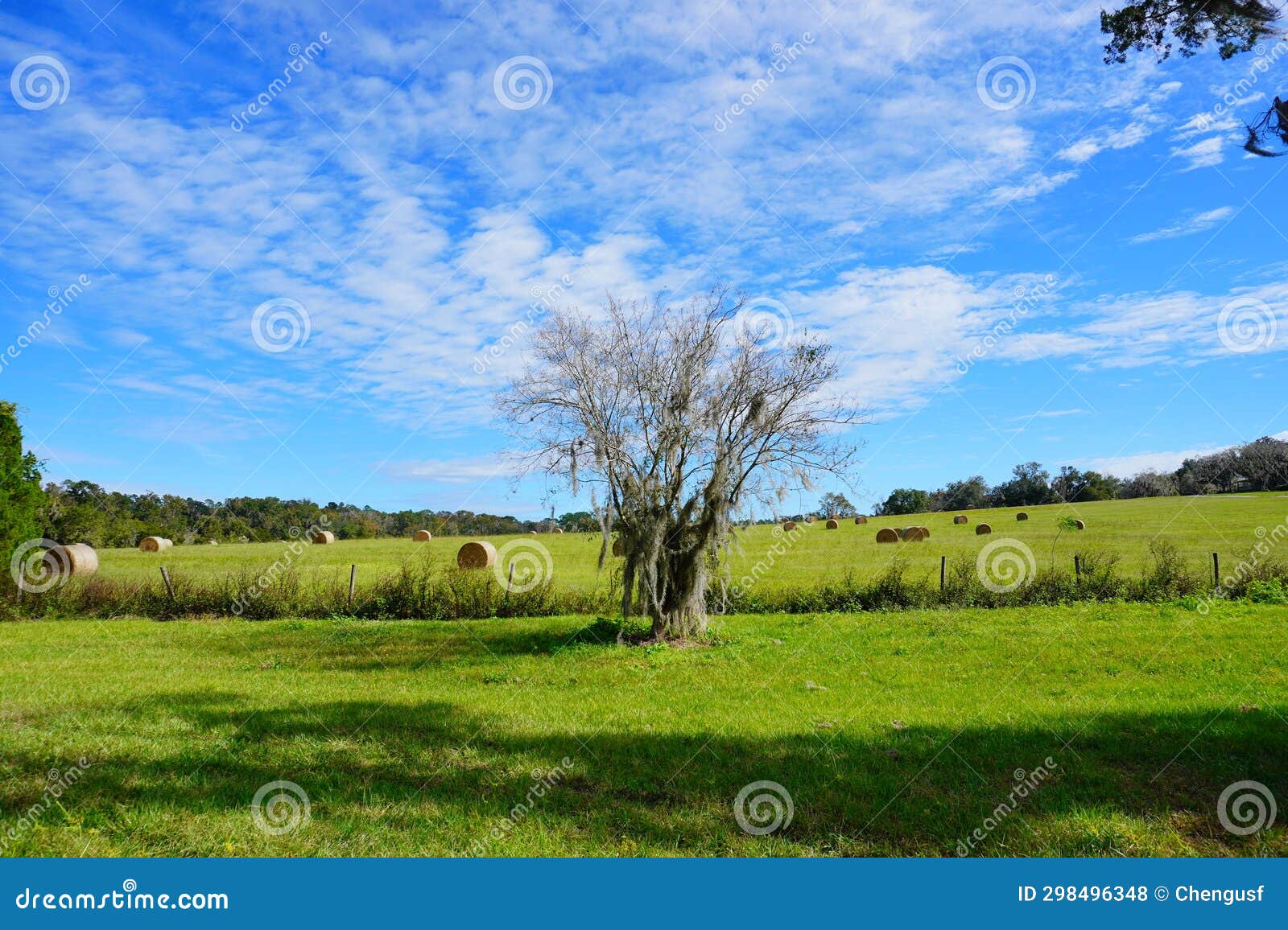 Round Hay Stack in a Florida Farm and Beautiful Cloud Stock Photo ...