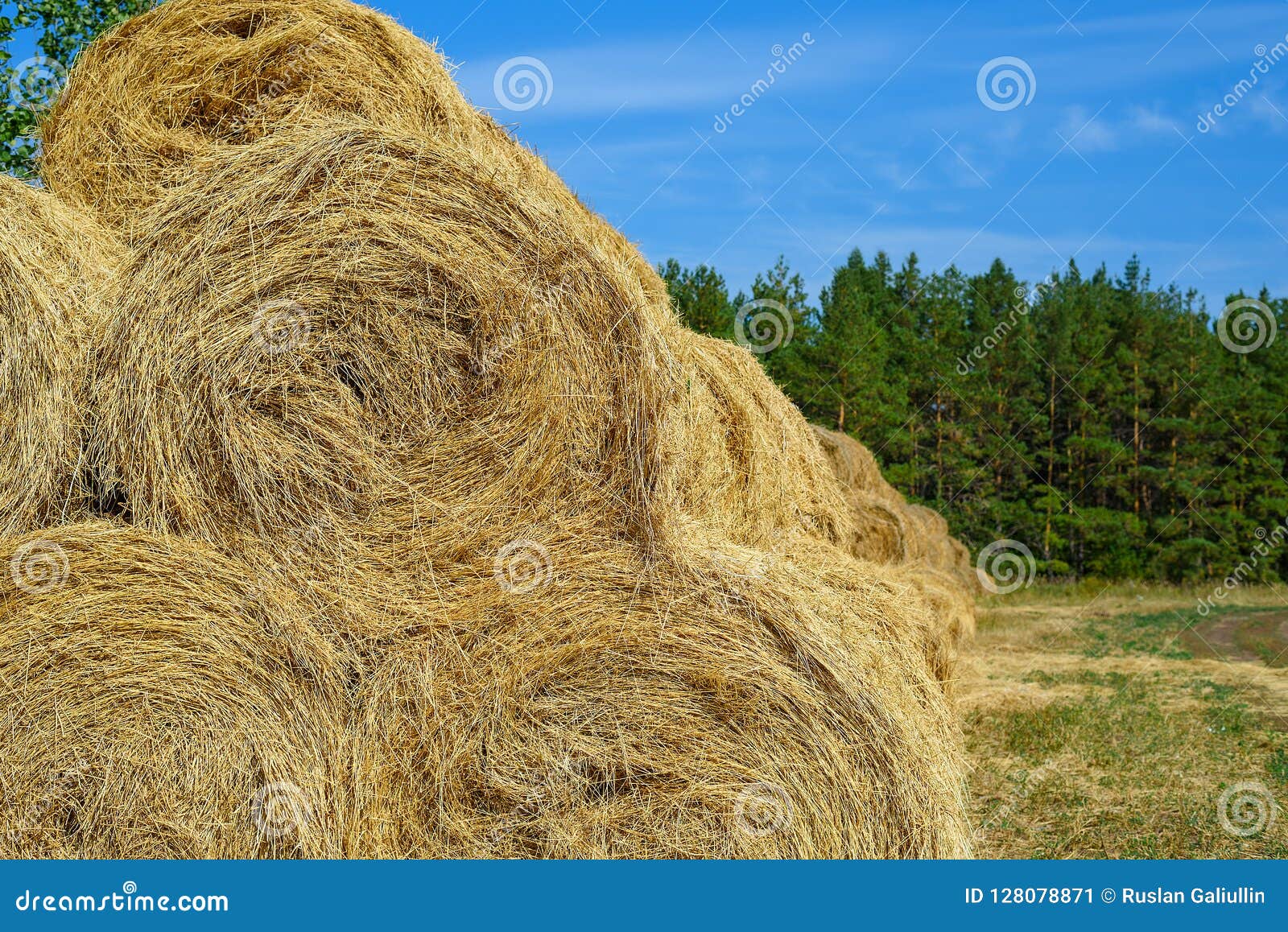 Round Haystack in the Field after Haymaking, Copy Space, Agricultural ...