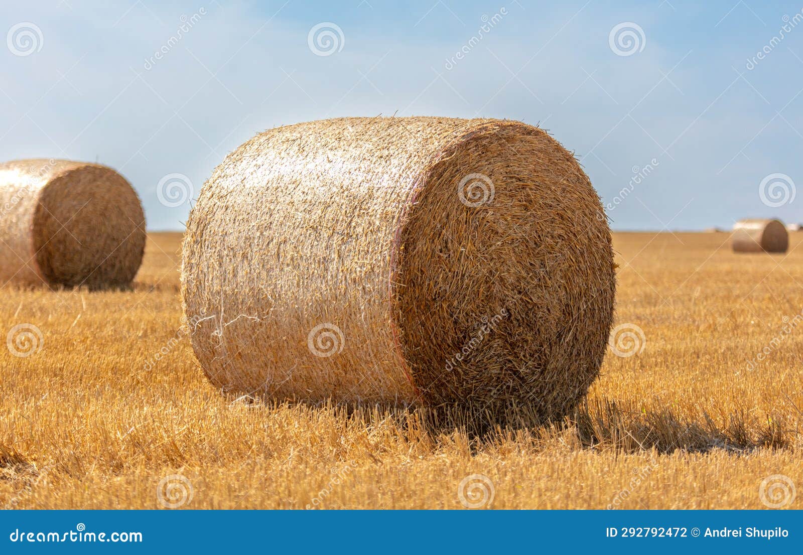 Round Haystacks on the Field Stock Photo - Image of landscape, straw ...