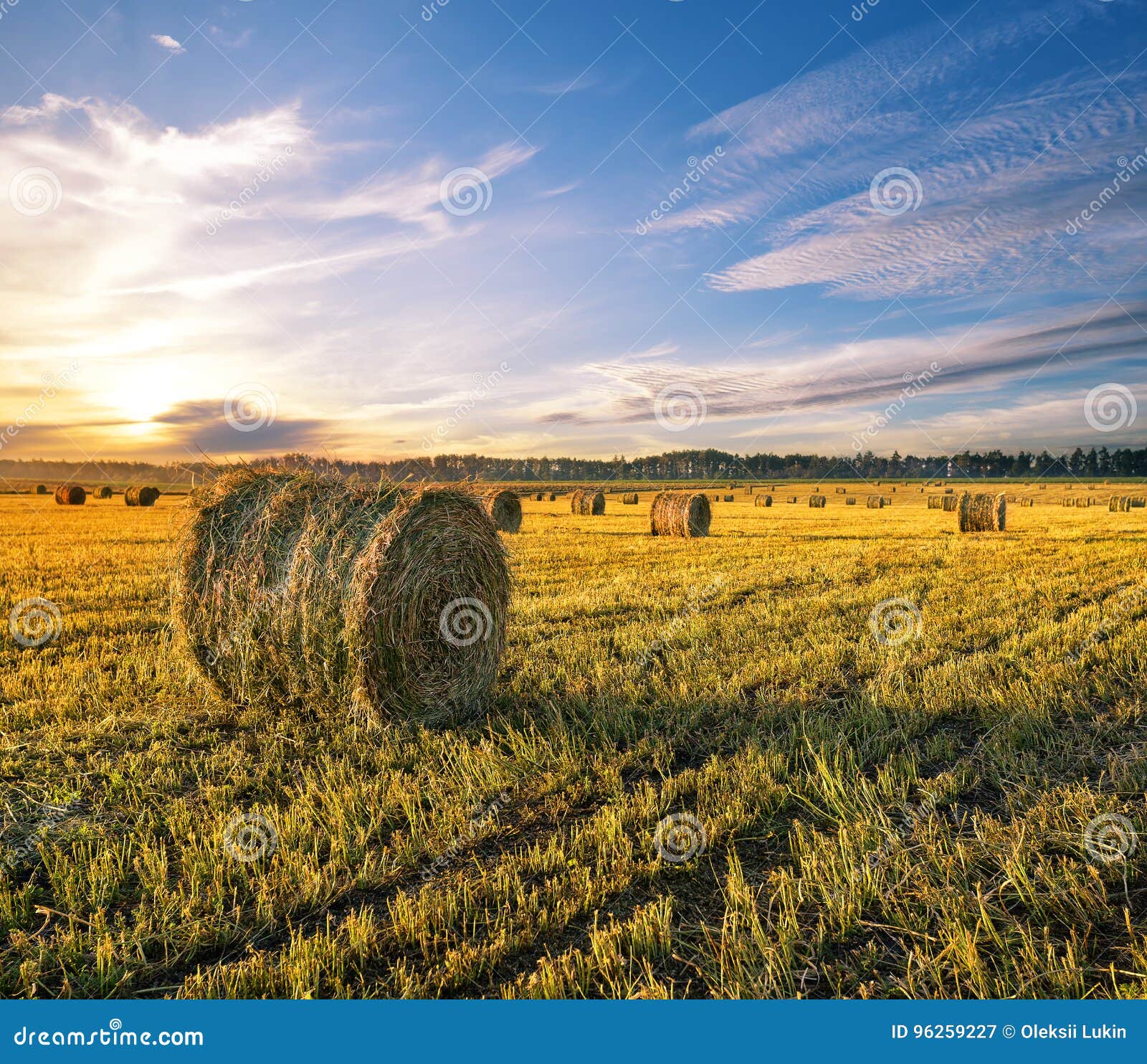 7,830 Haystacks Farm Stock Photos - Free & Royalty-Free Stock Photos ...