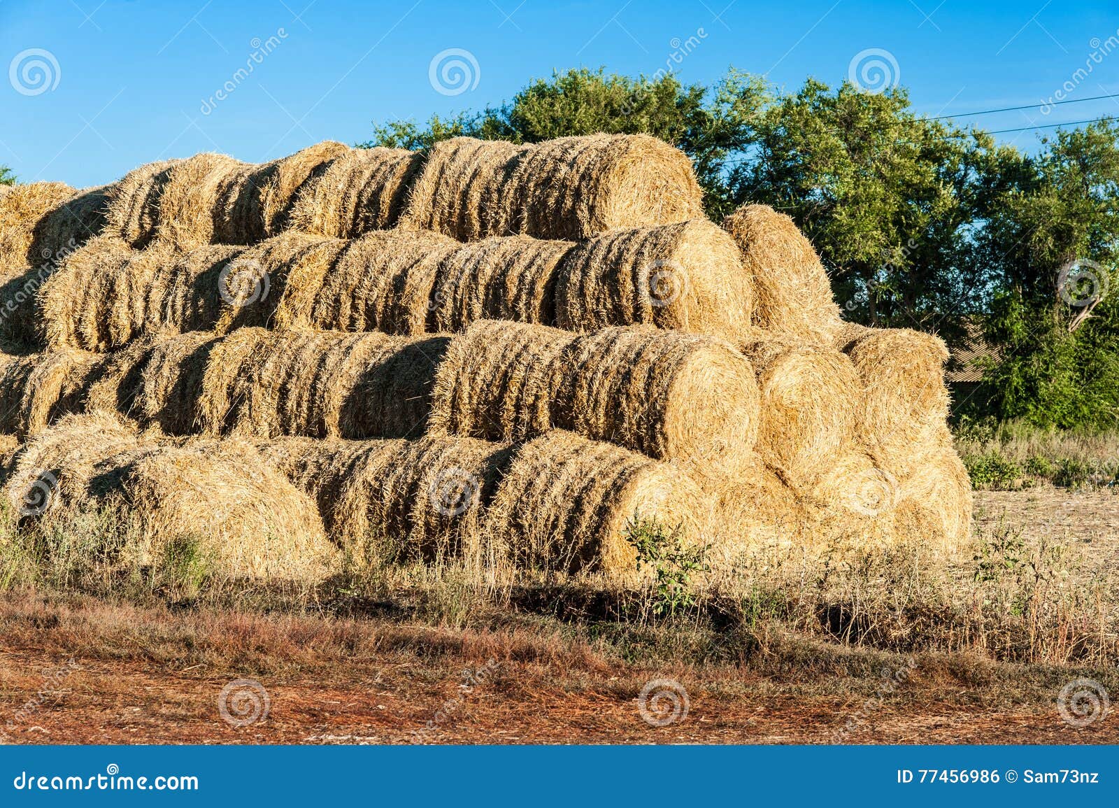 Round haystacks of straw stock photo. Image of plant - 77456986