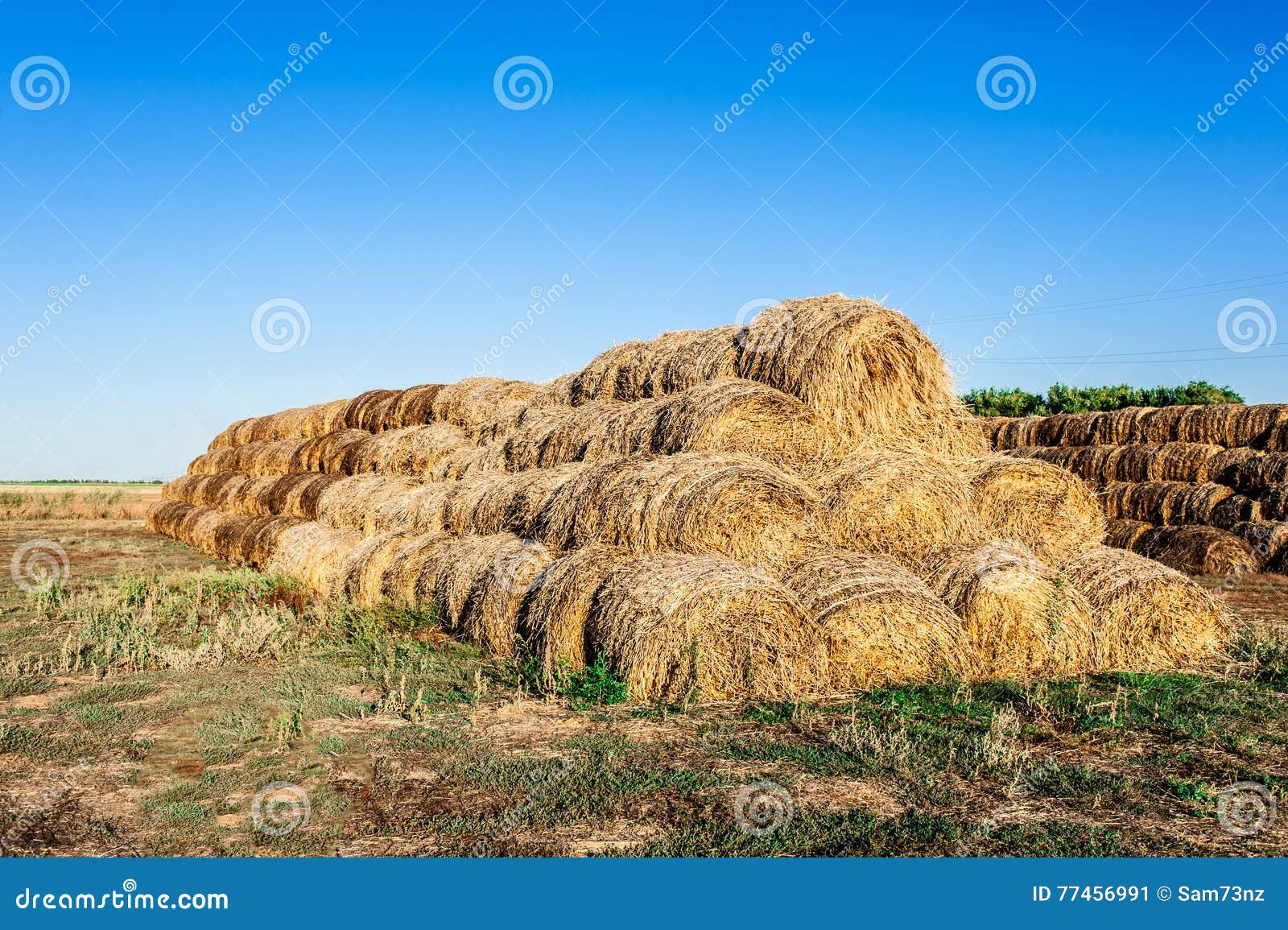 Round haystacks of straw stock image. Image of power - 77456991