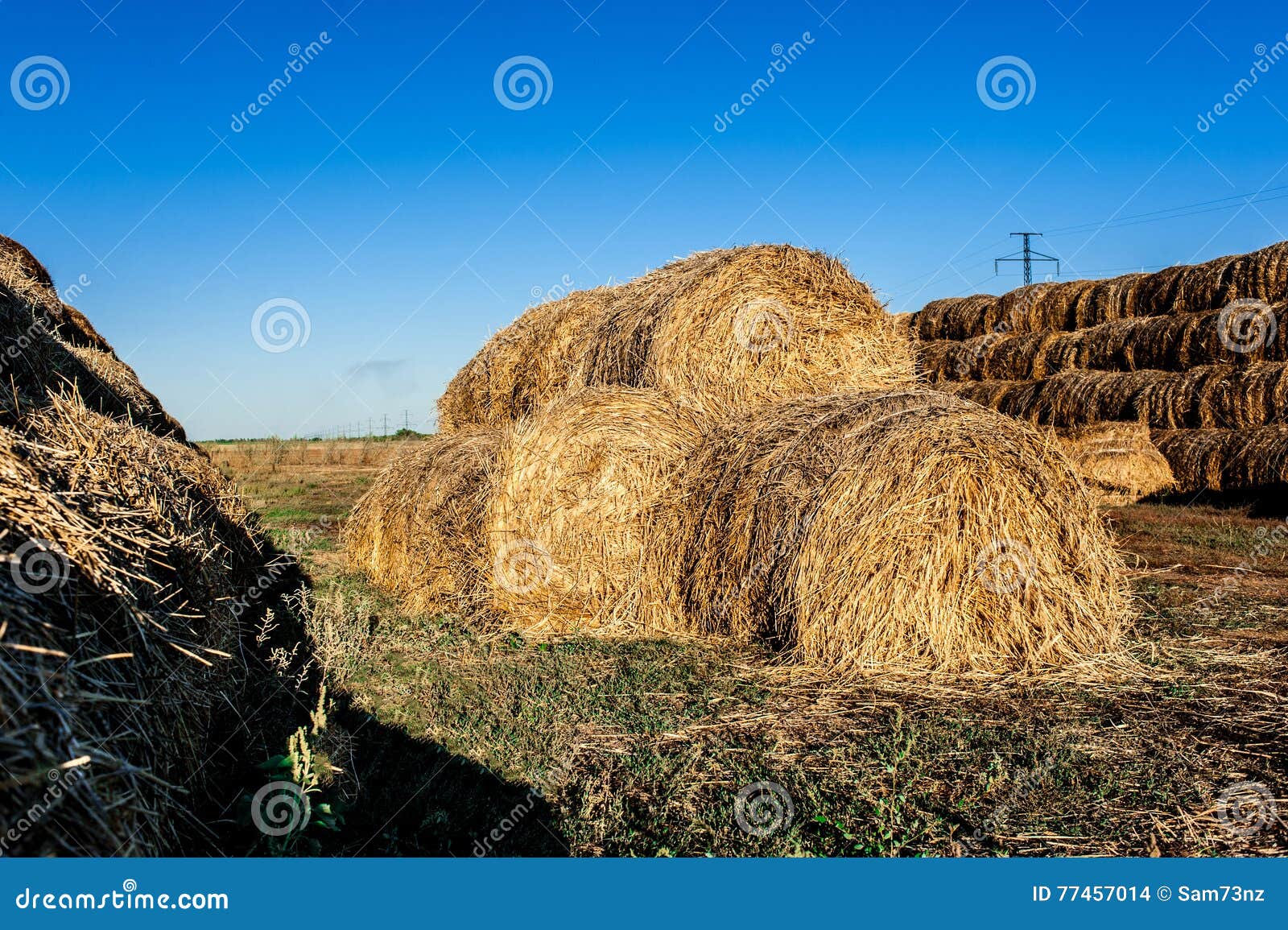 Round haystacks of straw stock photo. Image of bale, nature - 77457014
