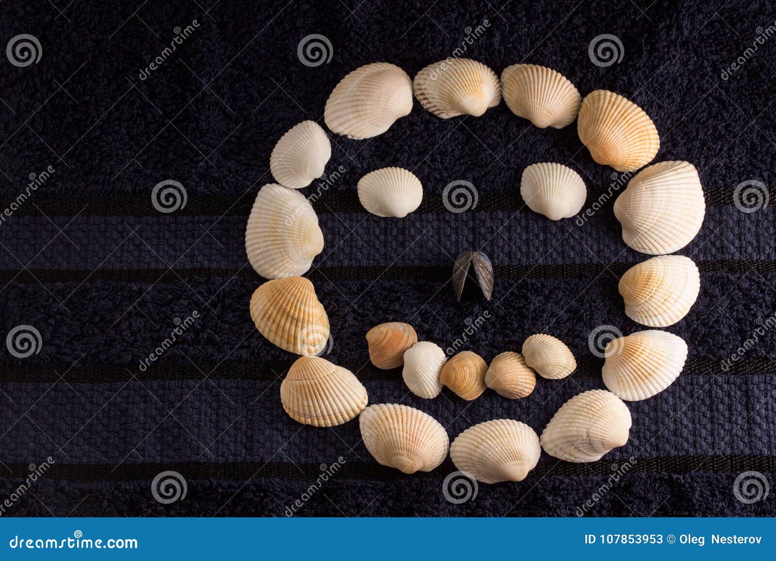 Round Head Lined with Sea Shells Stock Image - Image of head, shells ...