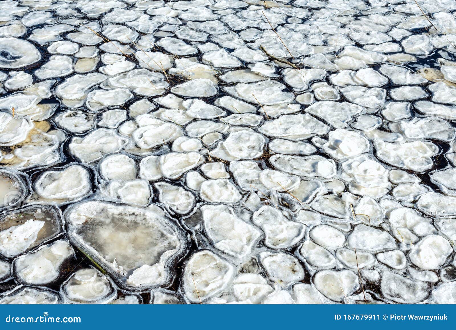 Round ice floes stock image. Image of nature, beauty - 167679911