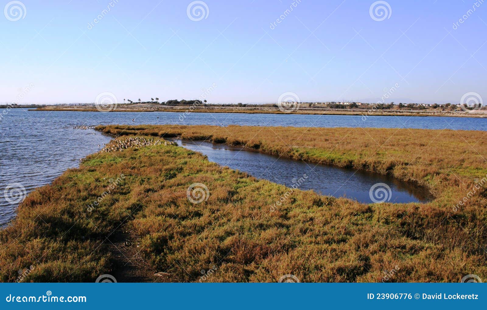 Round Inlet stock photo. Image of vegetation, white, lake - 23906776
