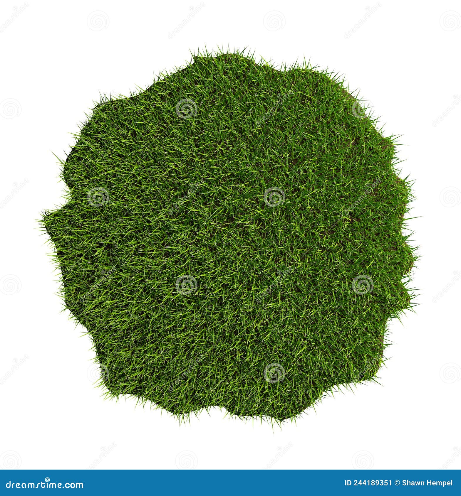Round Irregular Shaped Circular Patch or Island of Green Grass Isolated ...