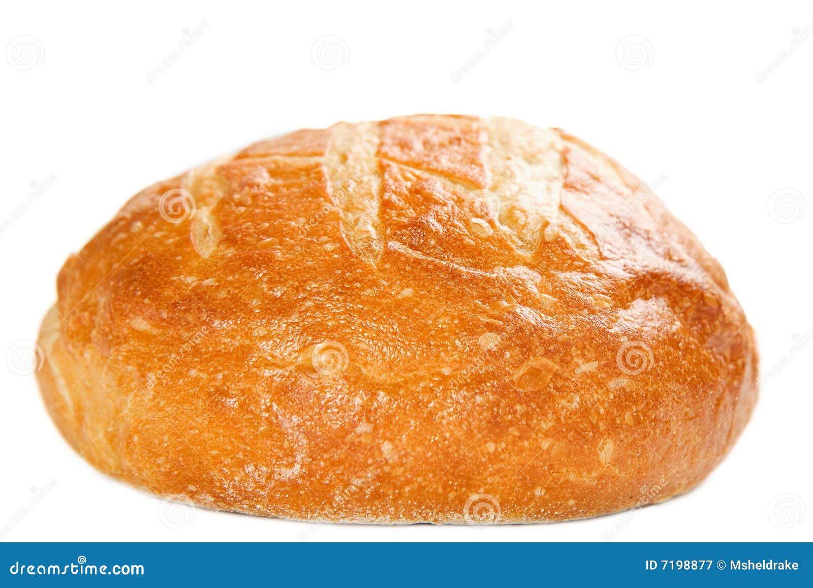 Round Italian Loaf stock image. Image of oval, porus, tasty - 7198877