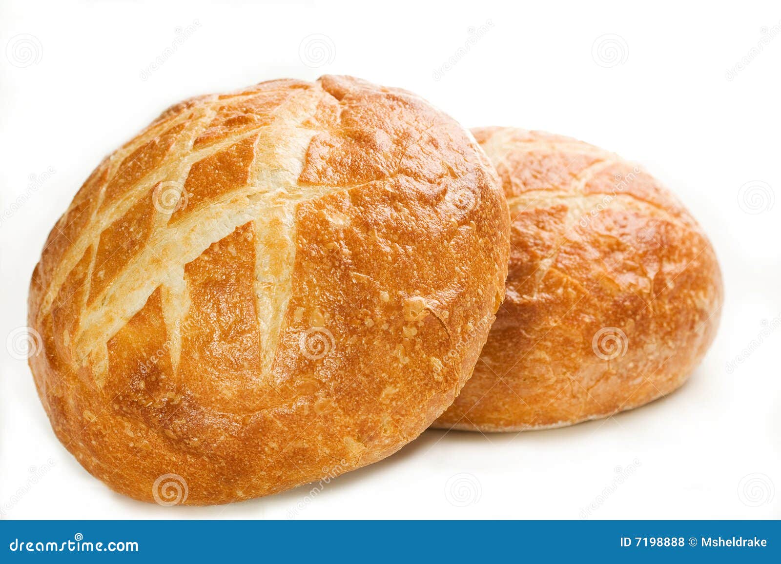 Round Italian Loaf stock photo. Image of slice, grain - 7198888