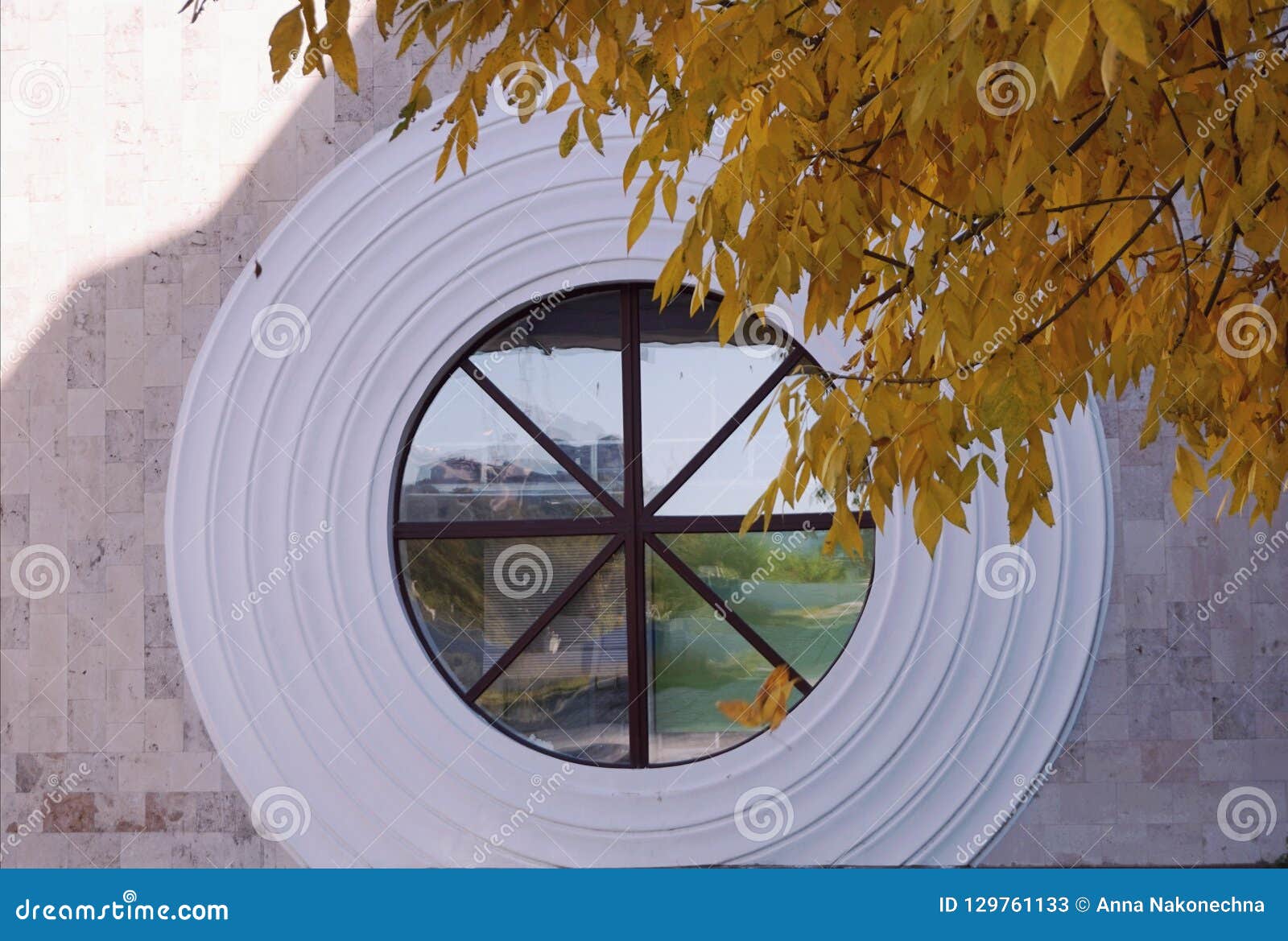 Round Large Window and a Tree Branch with Yellow Leaves. Stock Image ...