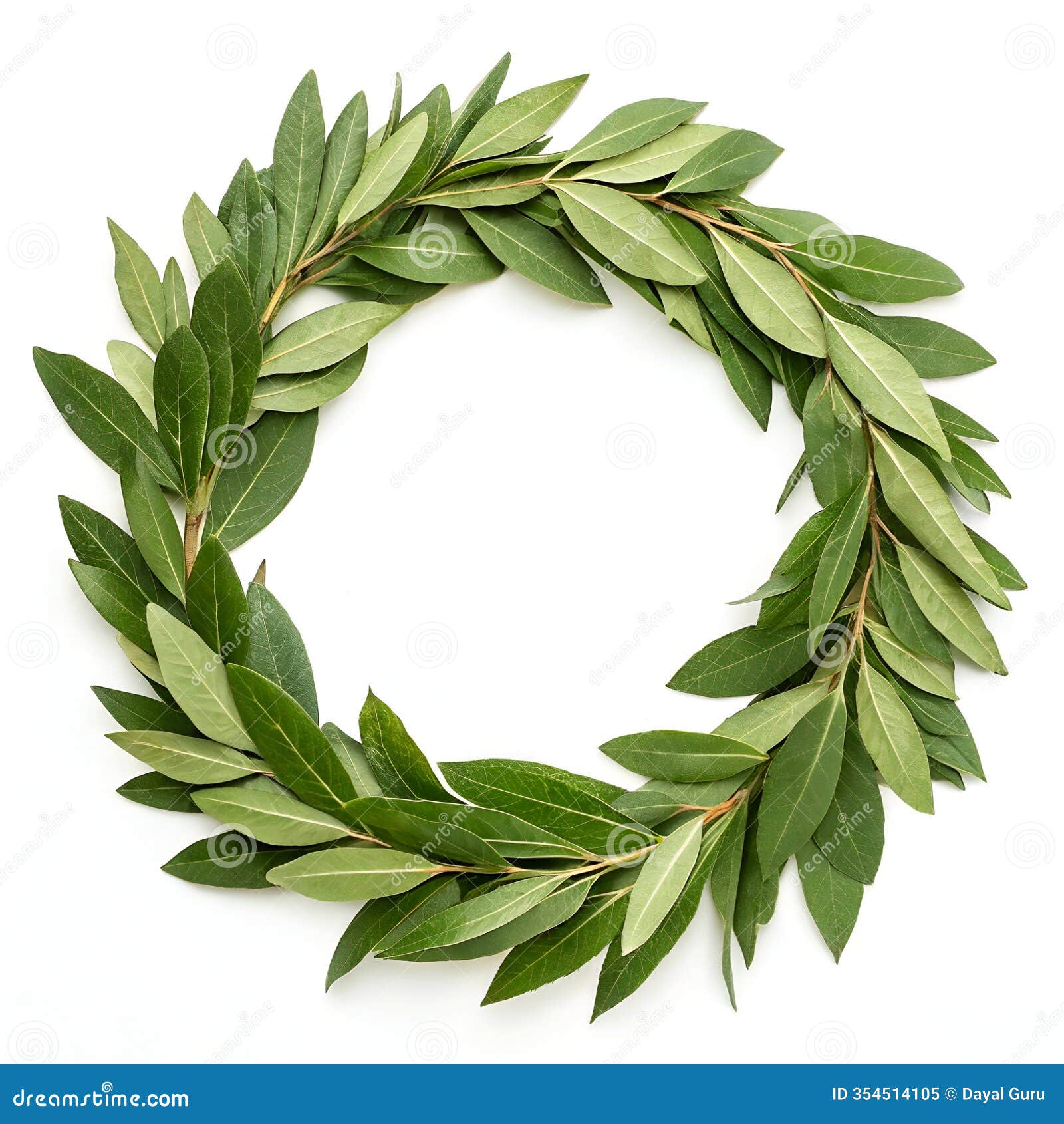 Round Laurel Wreath Isolated on White Background Stock Illustration ...