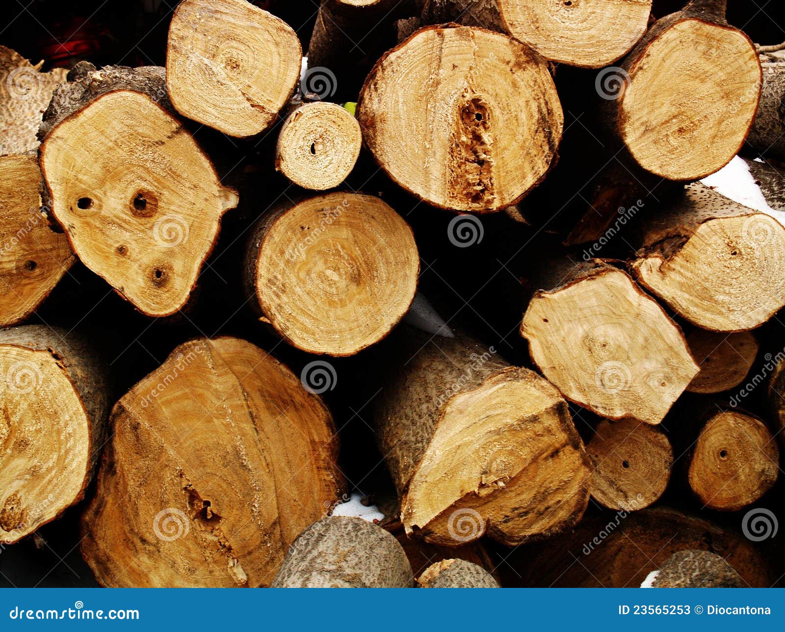 Round log stock image. Image of wood, survive, round - 23565253