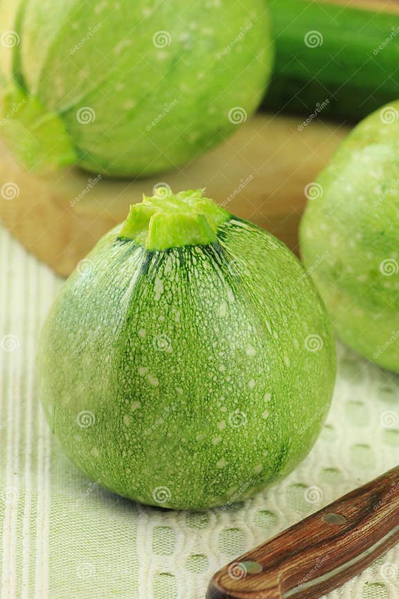 Round marrow stock image. Image of diet, harvest, garden - 25432017