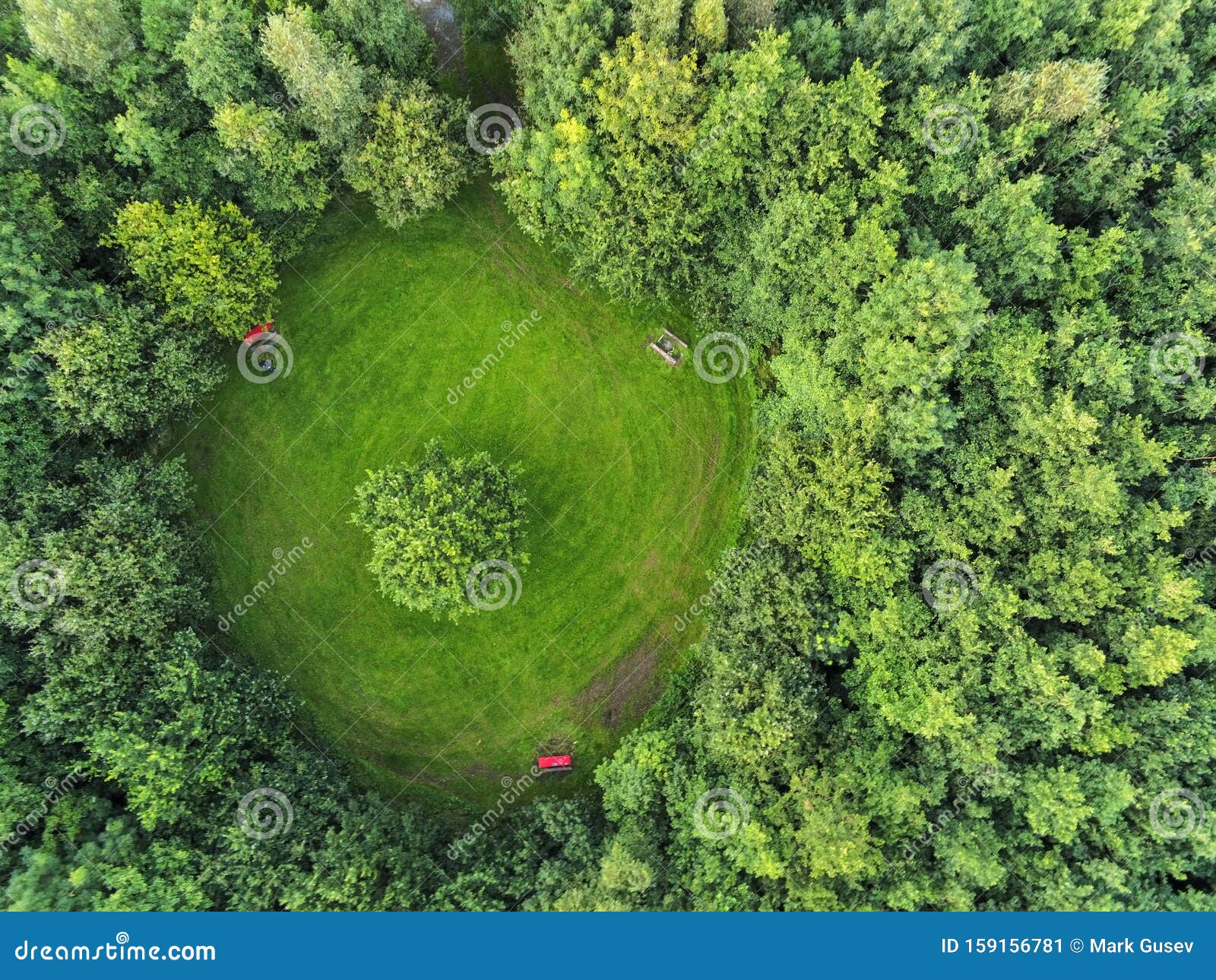 Round Meadow in a Park, Drone Top View. Green Forest and Trees Stock ...