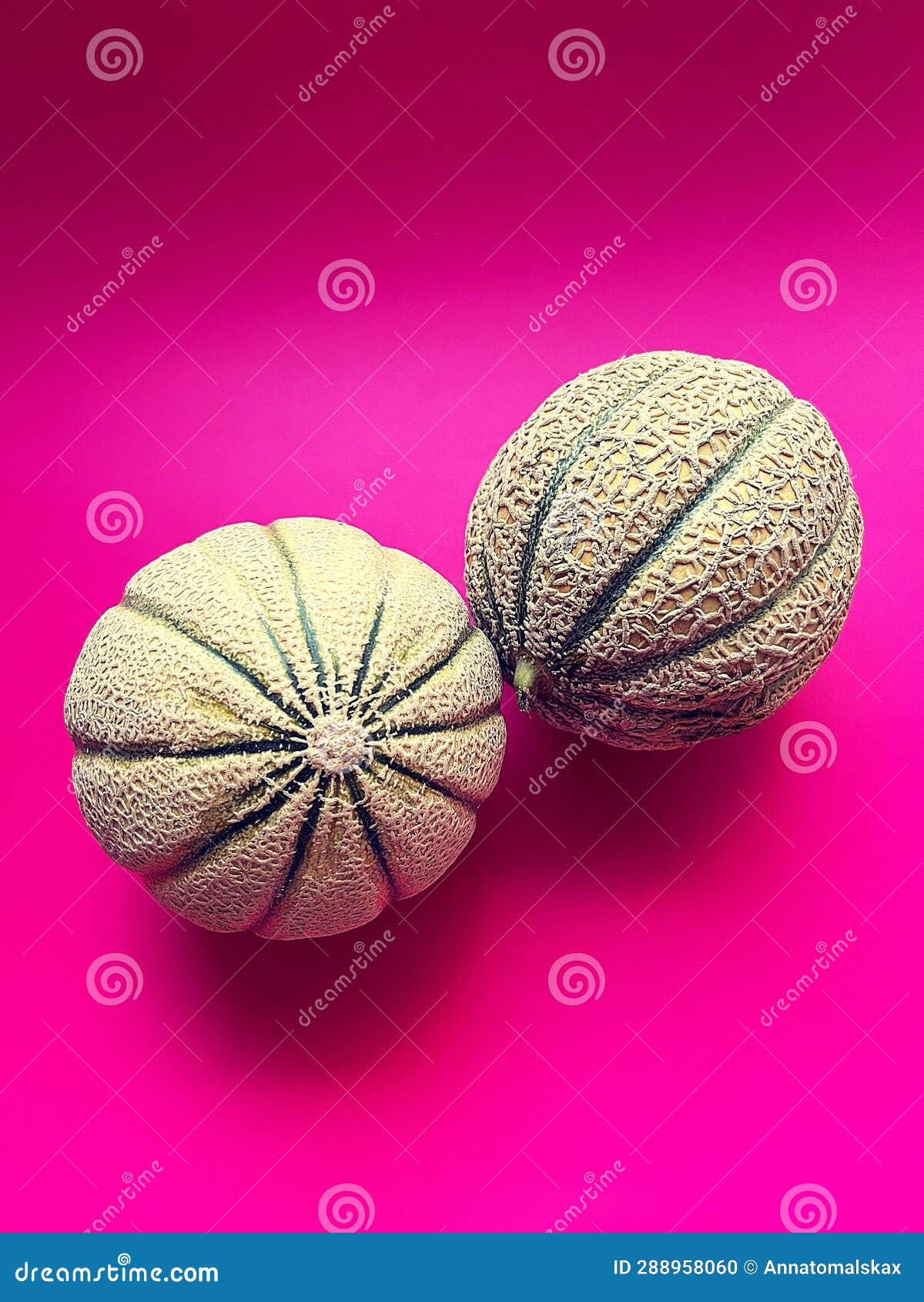 Round Melons, Two Melons, Pink Background Stock Photo - Image of ...