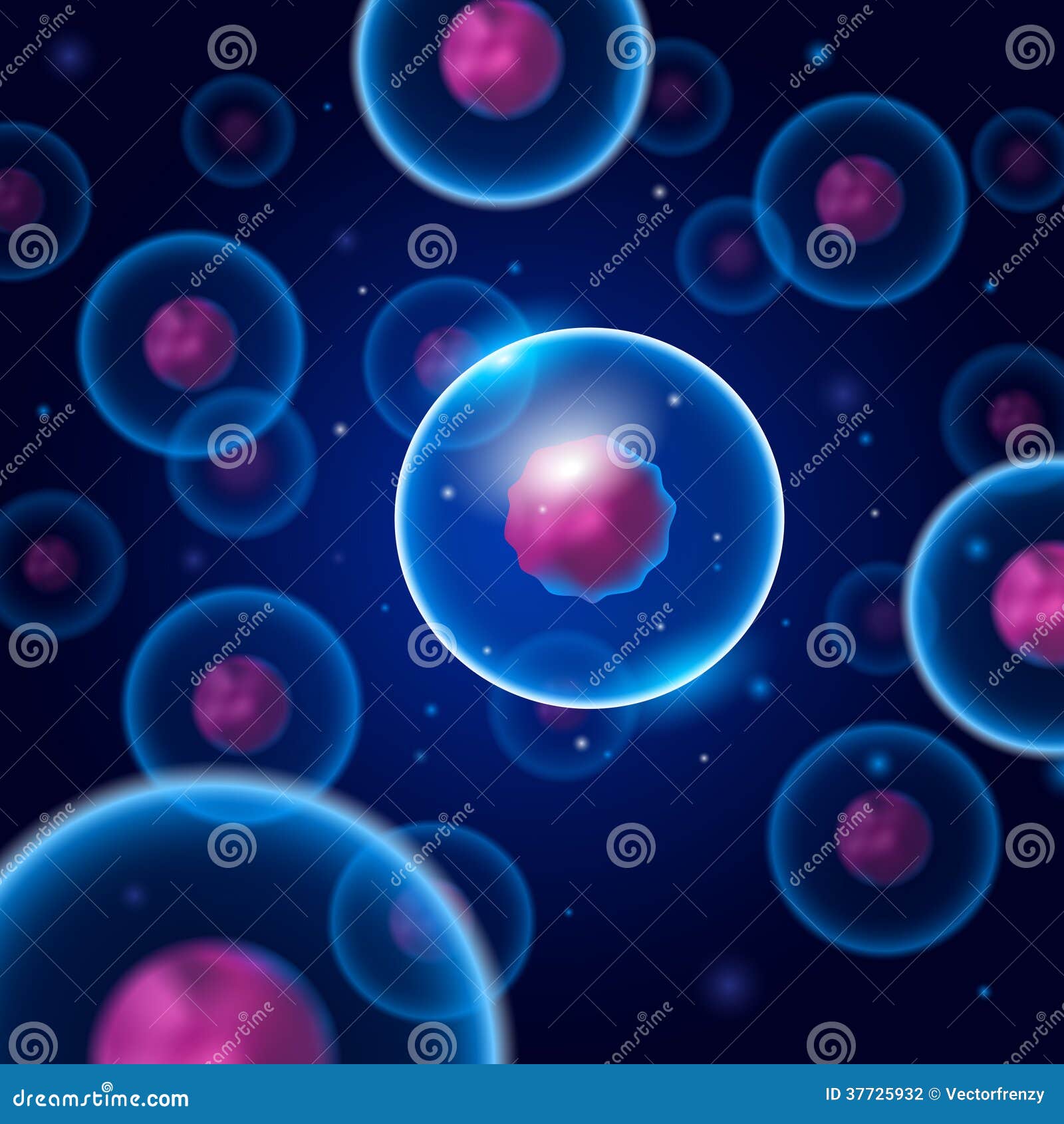 Round membrane cells stock vector. Illustration of cell - 37725932