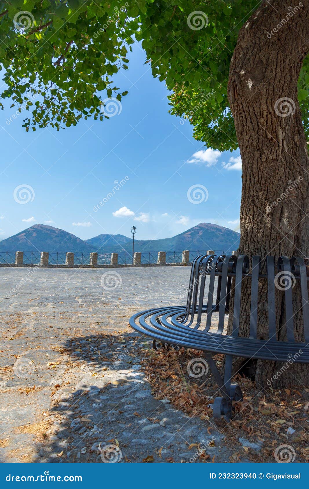 Round Metal Bench Around a Tree Stock Photo - Image of iron, autumn ...