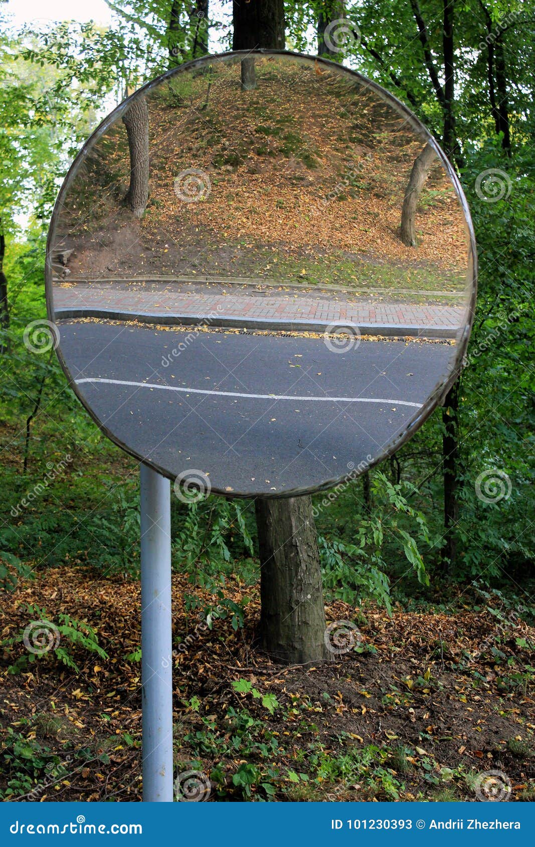 Round Mirror in a Park Reflecting Road and Sidewalk Stock Image - Image ...