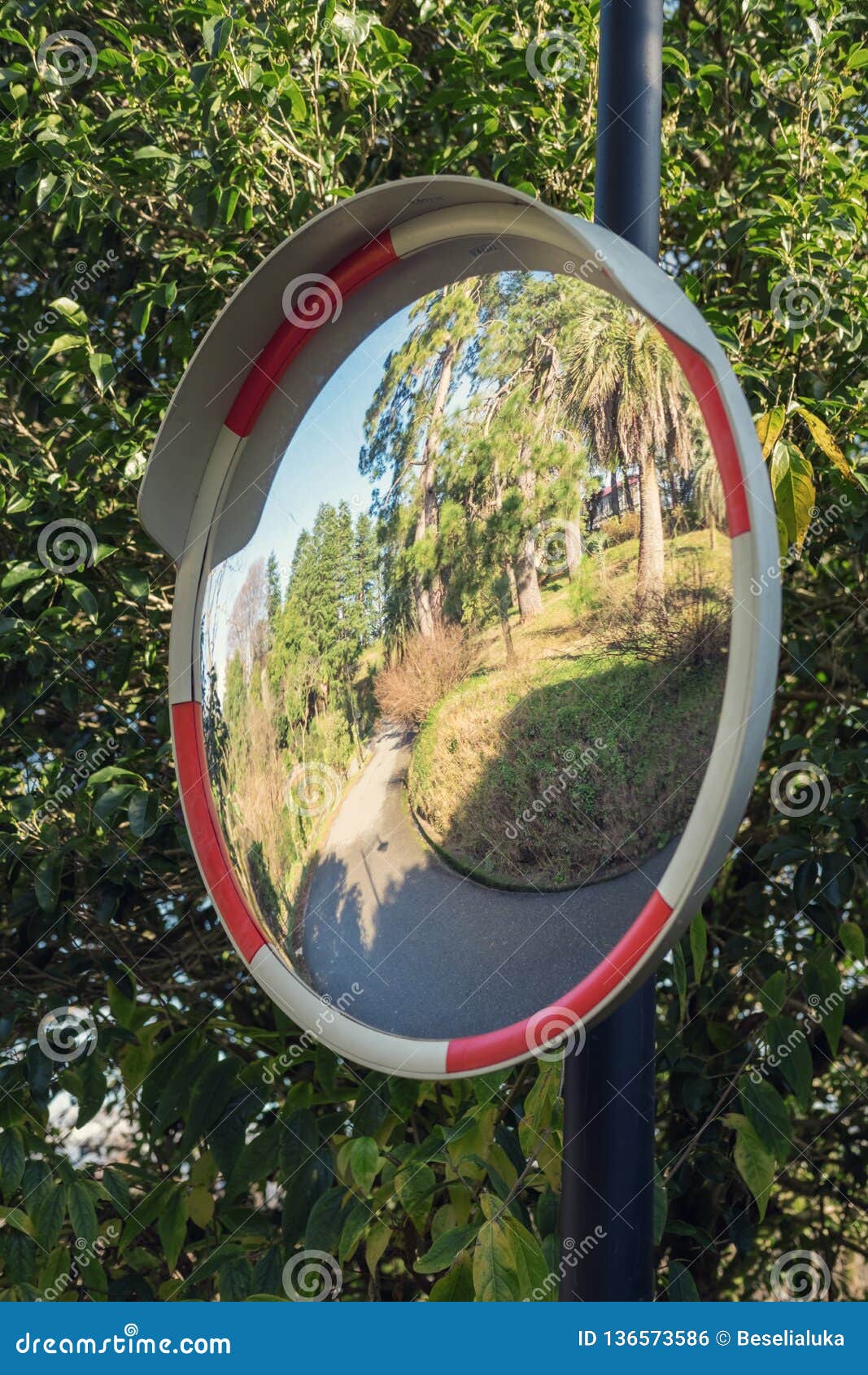 Round mirror stock photo. Image of scenic, grass, natural - 136573586