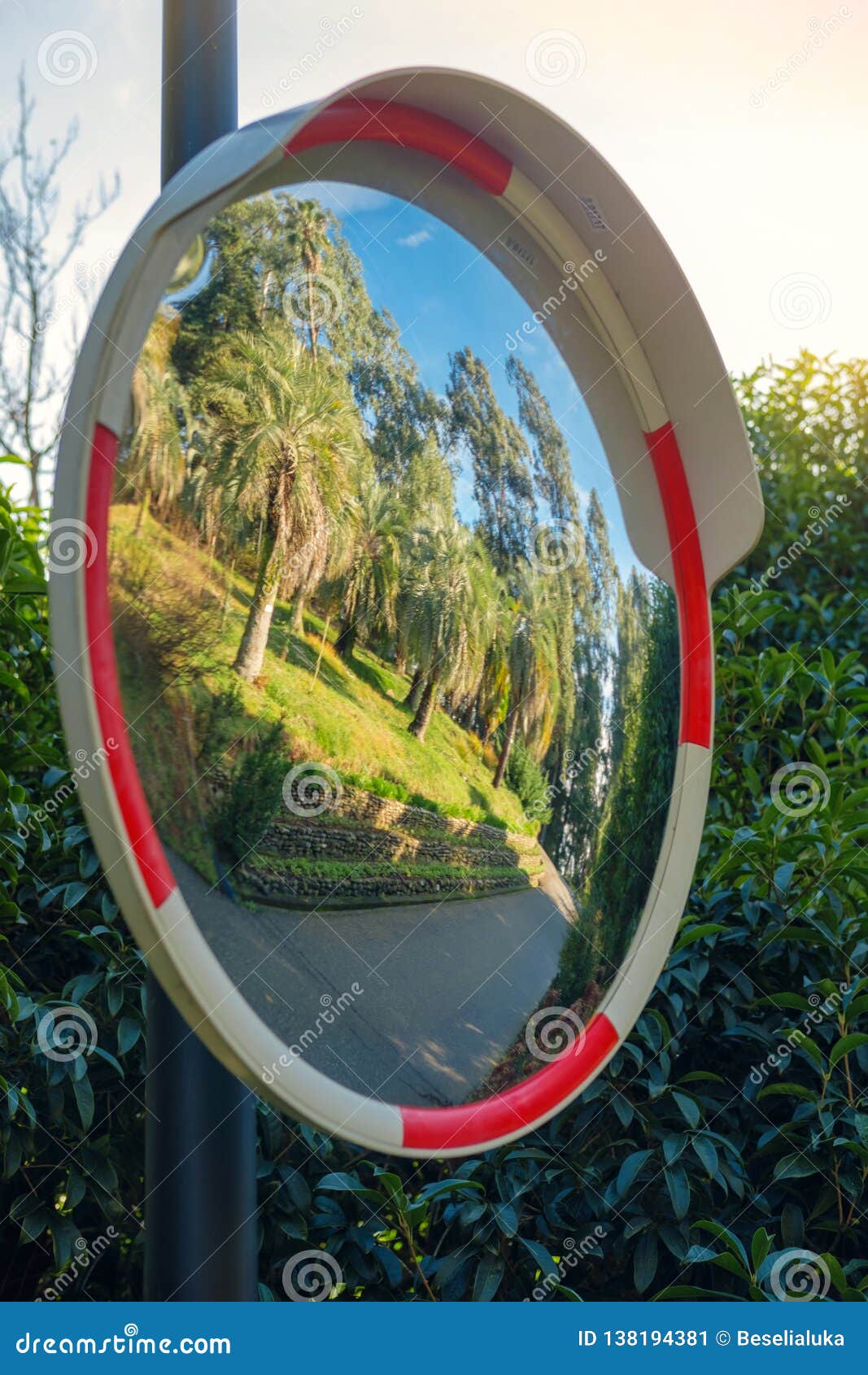 Round mirror stock image. Image of beautiful, grass - 138194381