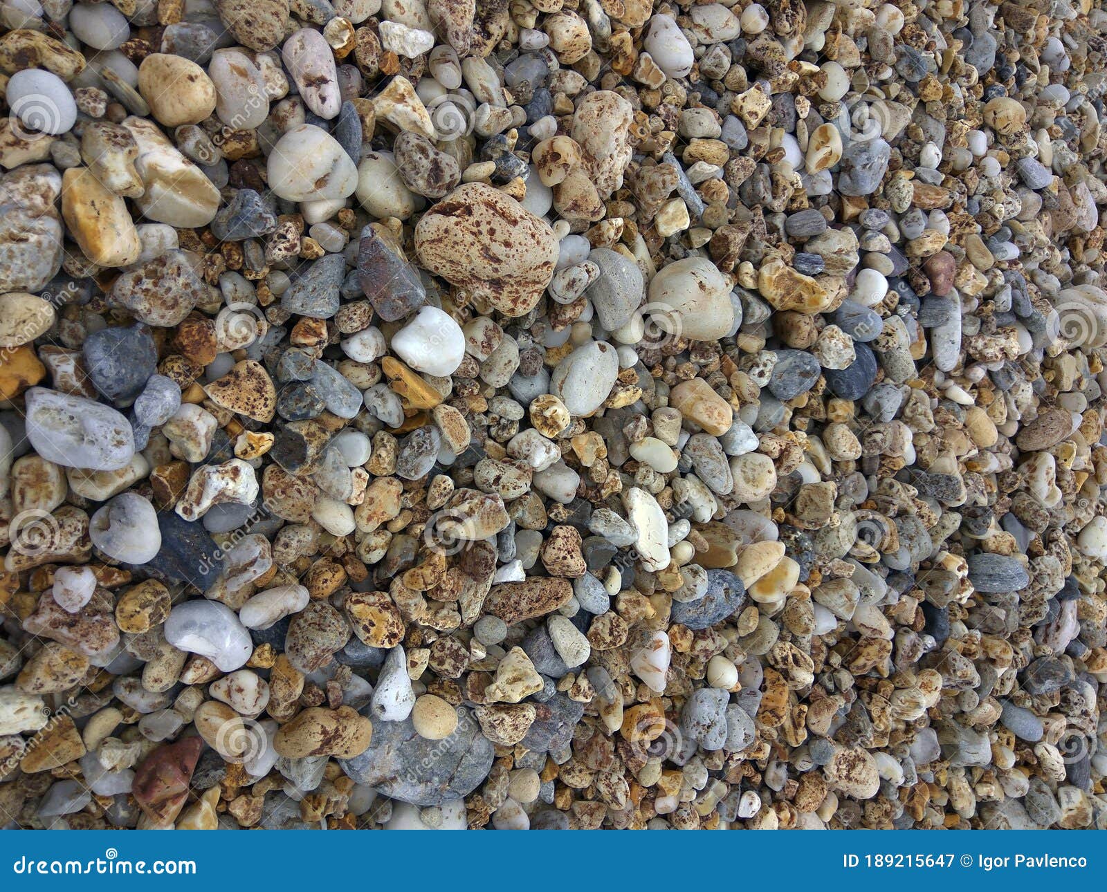 Round Multi-colored Pebbles on the Seashore. Stock Image - Image of ...