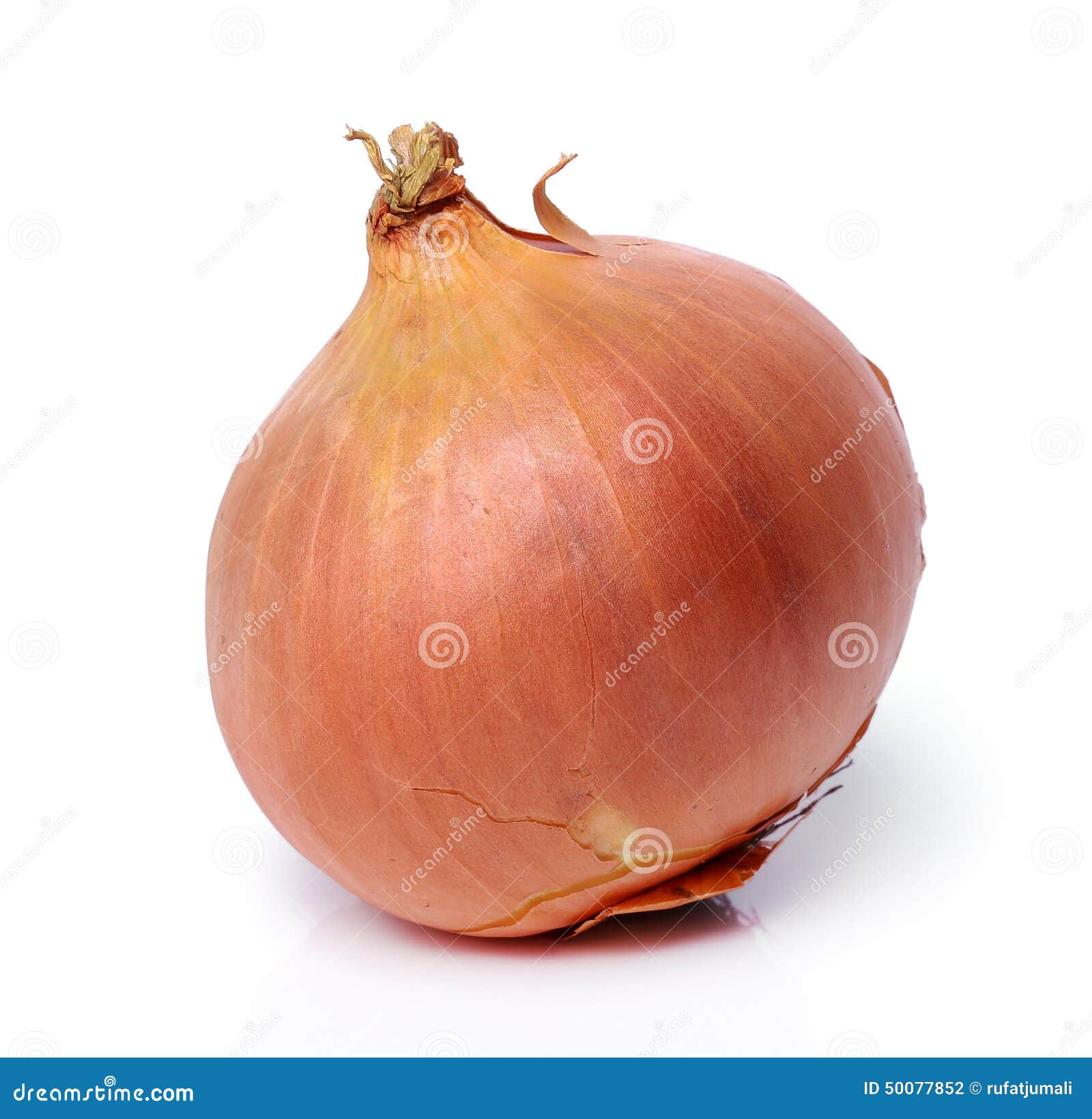 Round onion stock photo. Image of nutrition, organic - 50077852