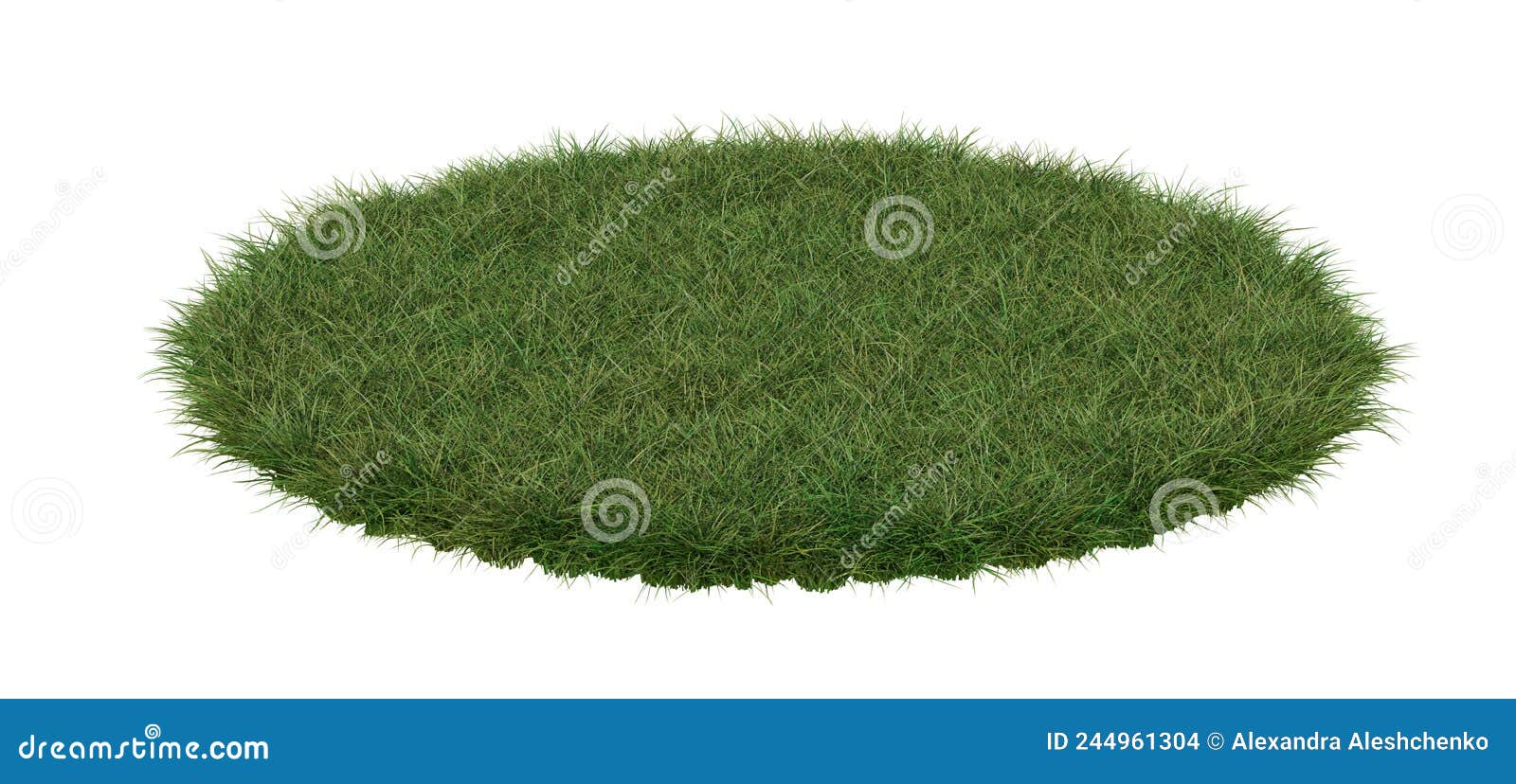 A Round Patch of Grass, Isolated on White Background. Stock Photo ...