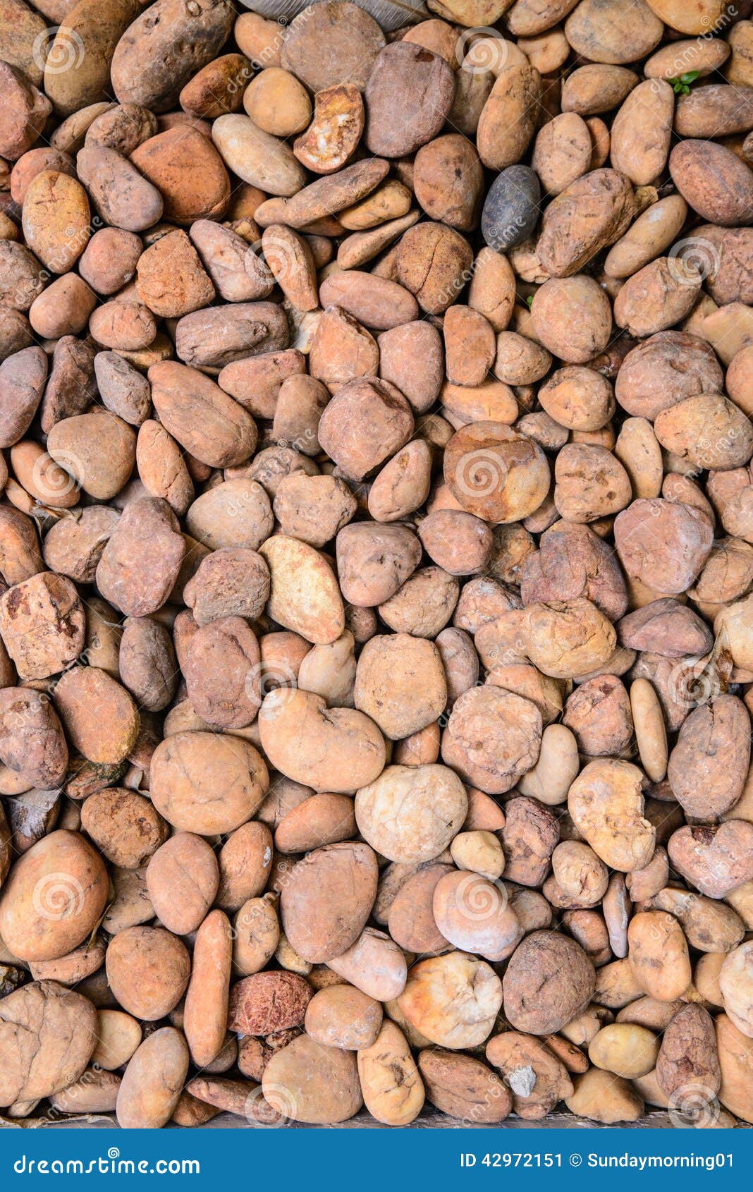 Round pebble stones stock image. Image of color, cobble - 42972151