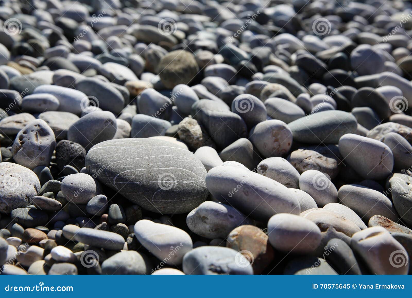 Round pebbles texture stock image. Image of abstract - 70575645