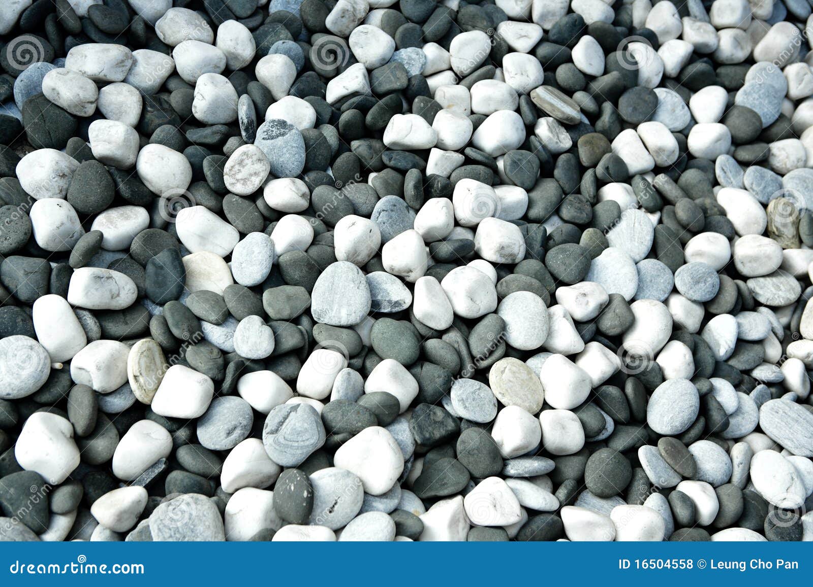 Round peeble stones stock photo. Image of shape, gray - 16504558