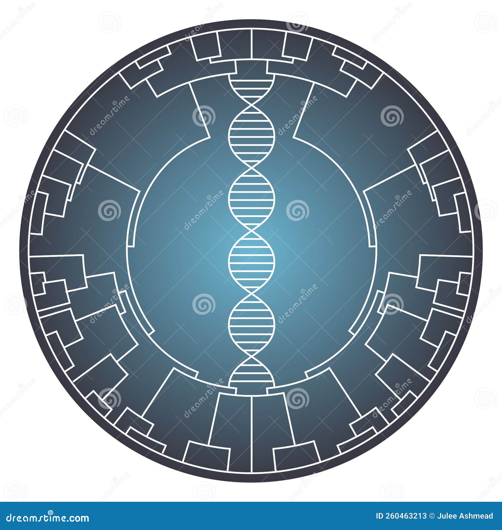 Phylogenetic Tree Science Vector Illustration Graphic Design ...
