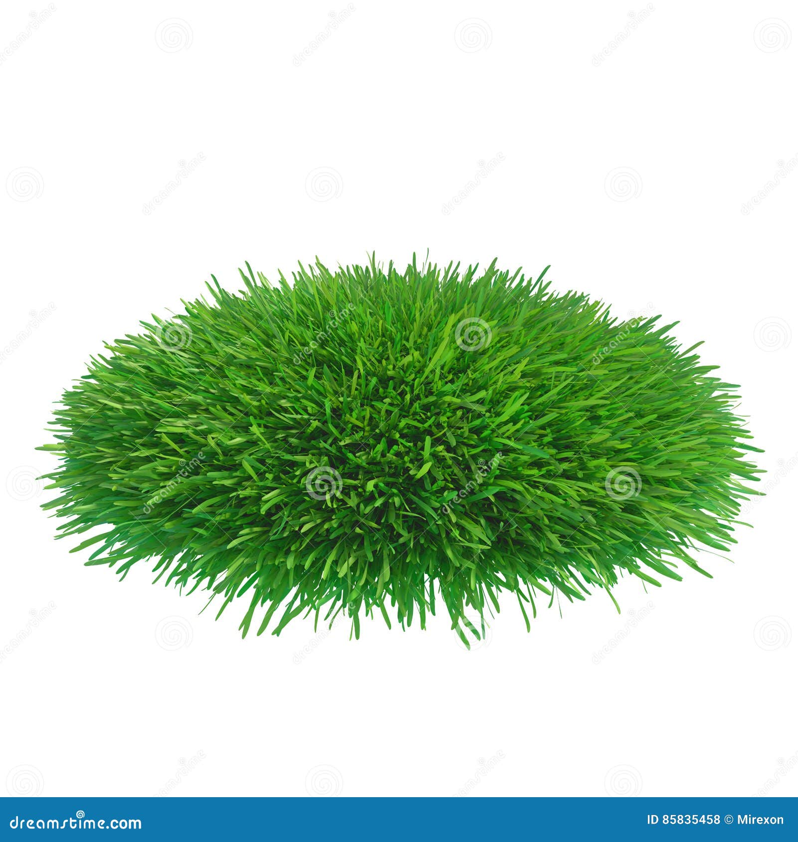 Round Piece of Cropped Grass To Be Installed Stock Photo - Image of ...