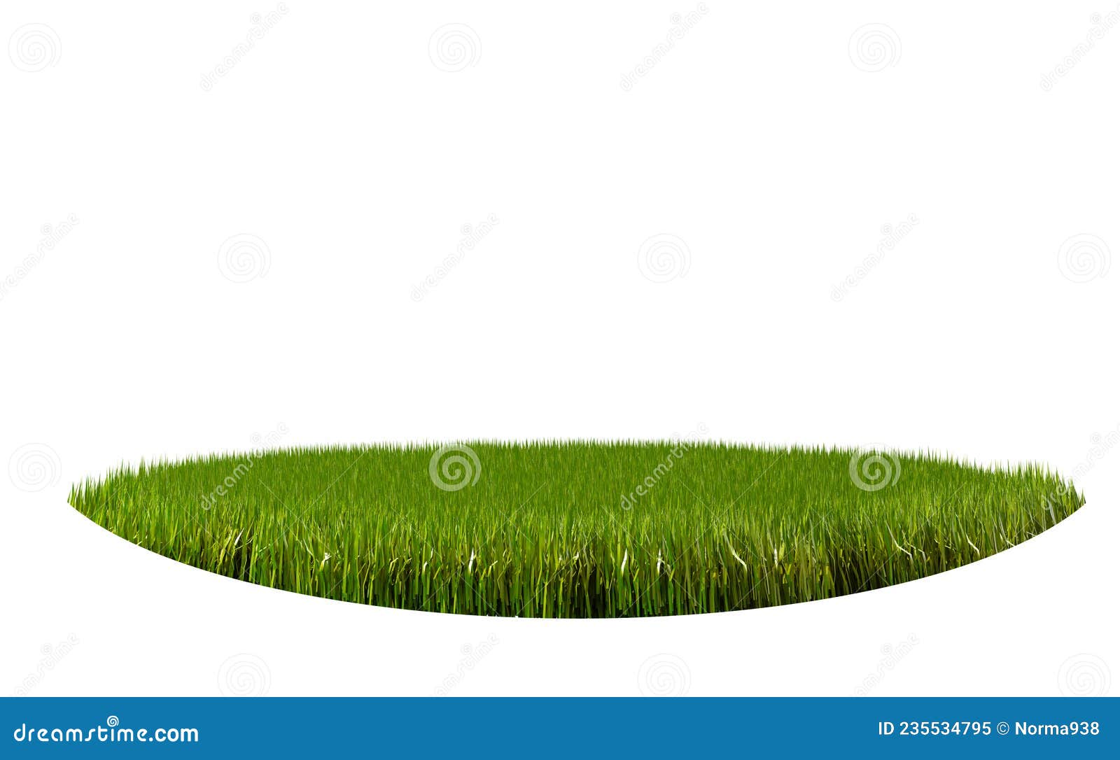 Round Piece of Green Lawn. Green Lawn Isolated on a White Background ...