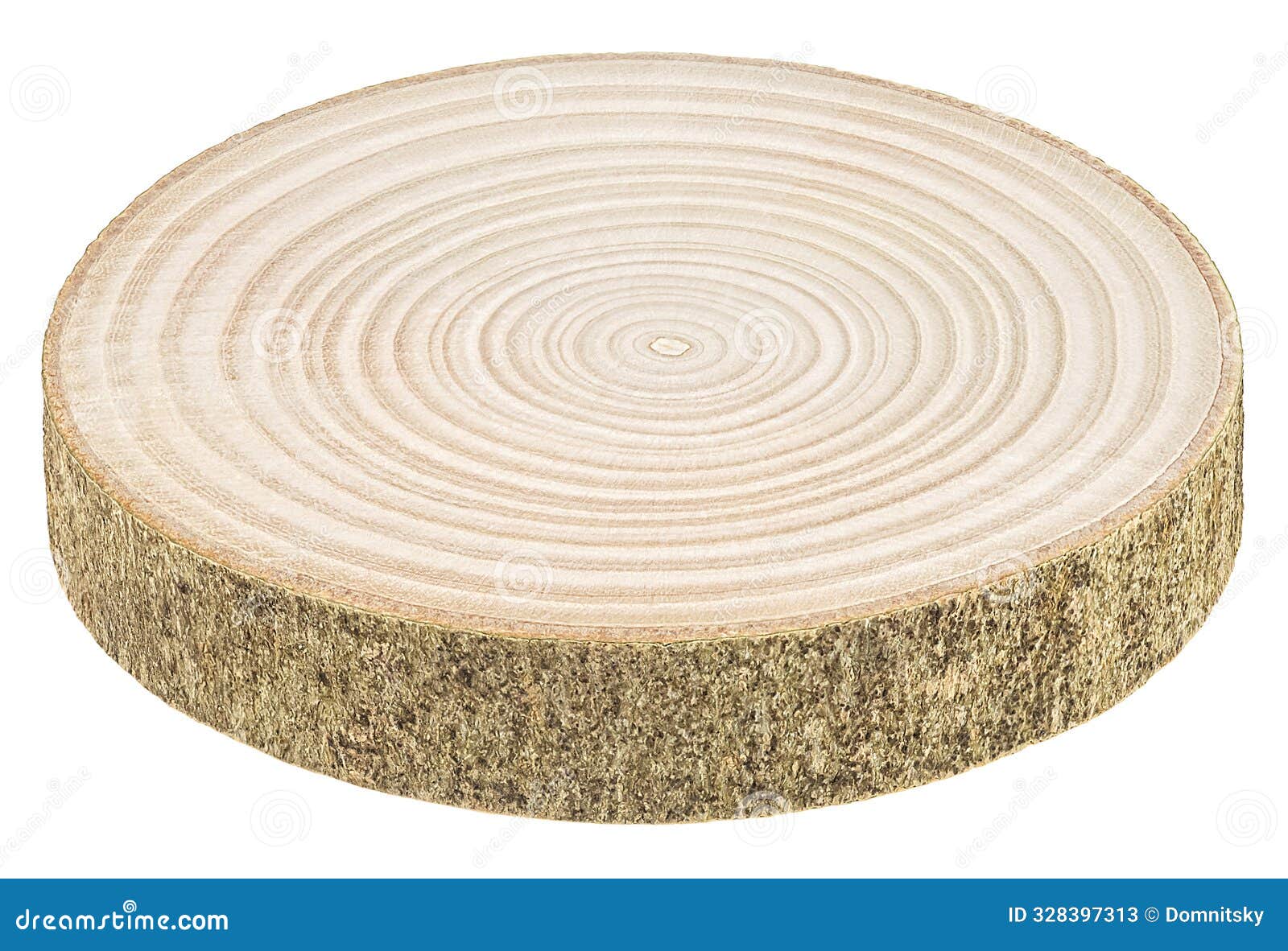 Round Piece of Wood in Cross Section with Wood Texture Pattern Isolated ...