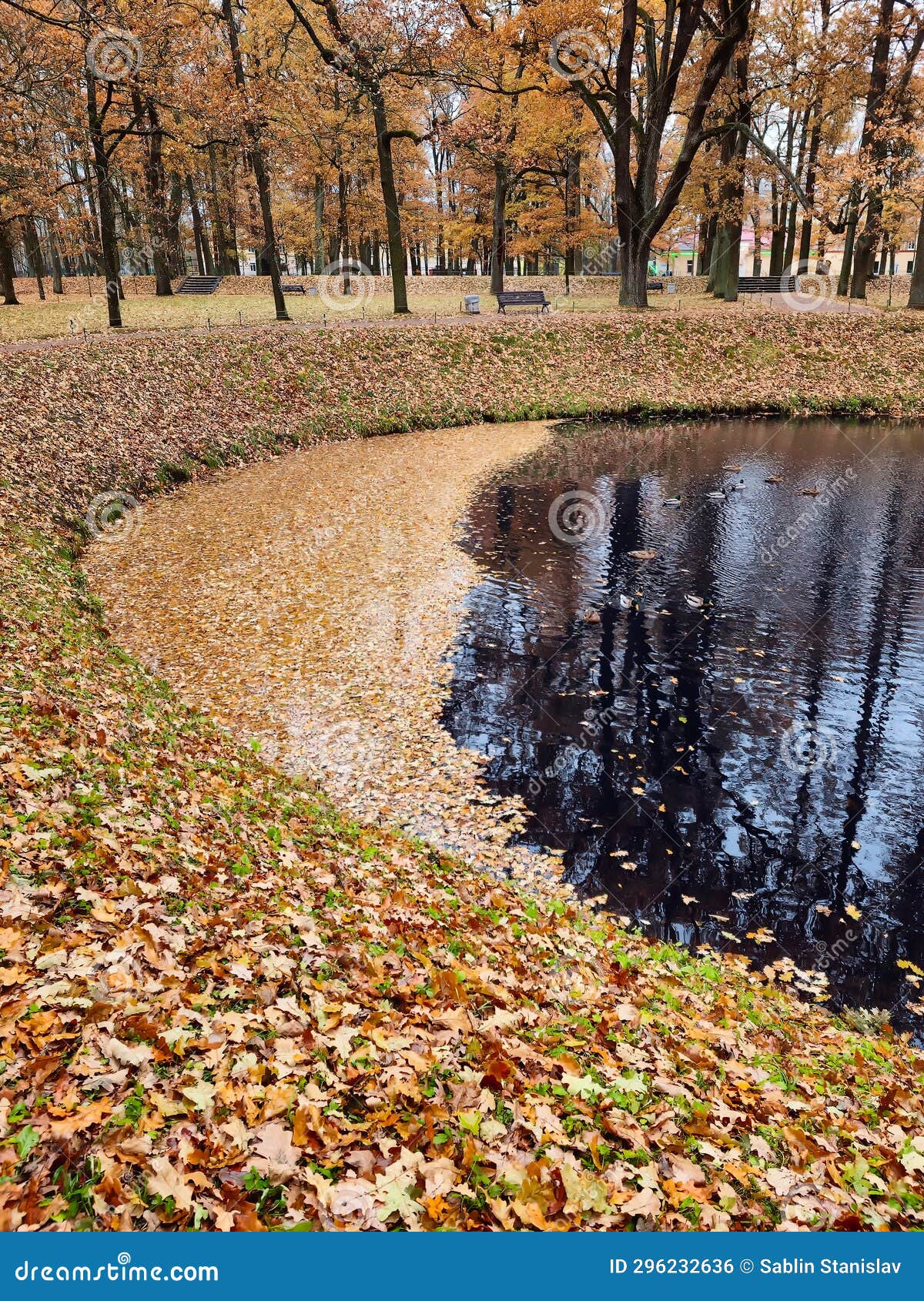 Round Pond in Autumn. Fallen Leaves on the Surface of the Water in the ...
