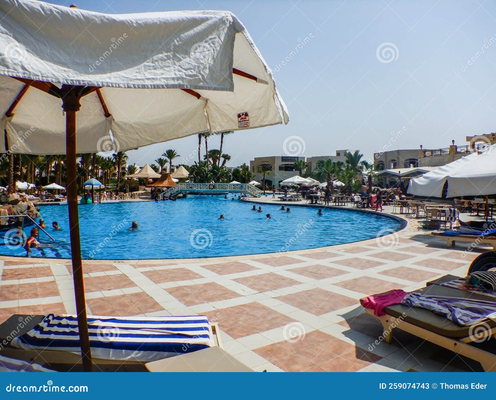 Round Pool with Lounges and Palm Trees in Egypt Stock Image - Image of ...