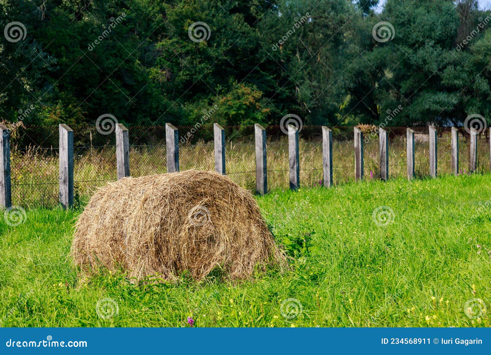 Round Pressed Haystack in a Cylindrical Shape. Selective Focus Stock ...